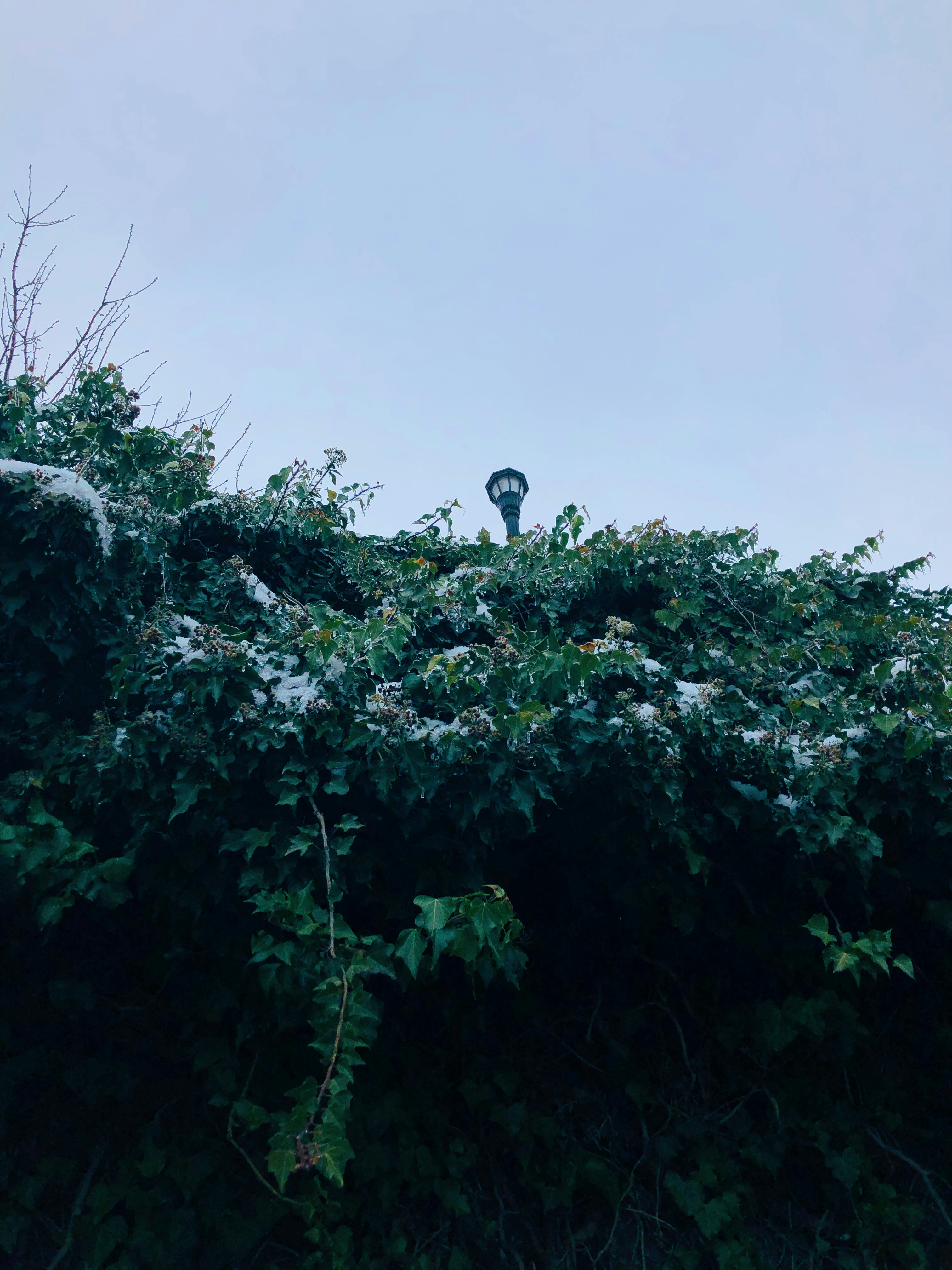 ashleigh gyatt (@aegyatt) | Comunidade de fotos da Unsplash