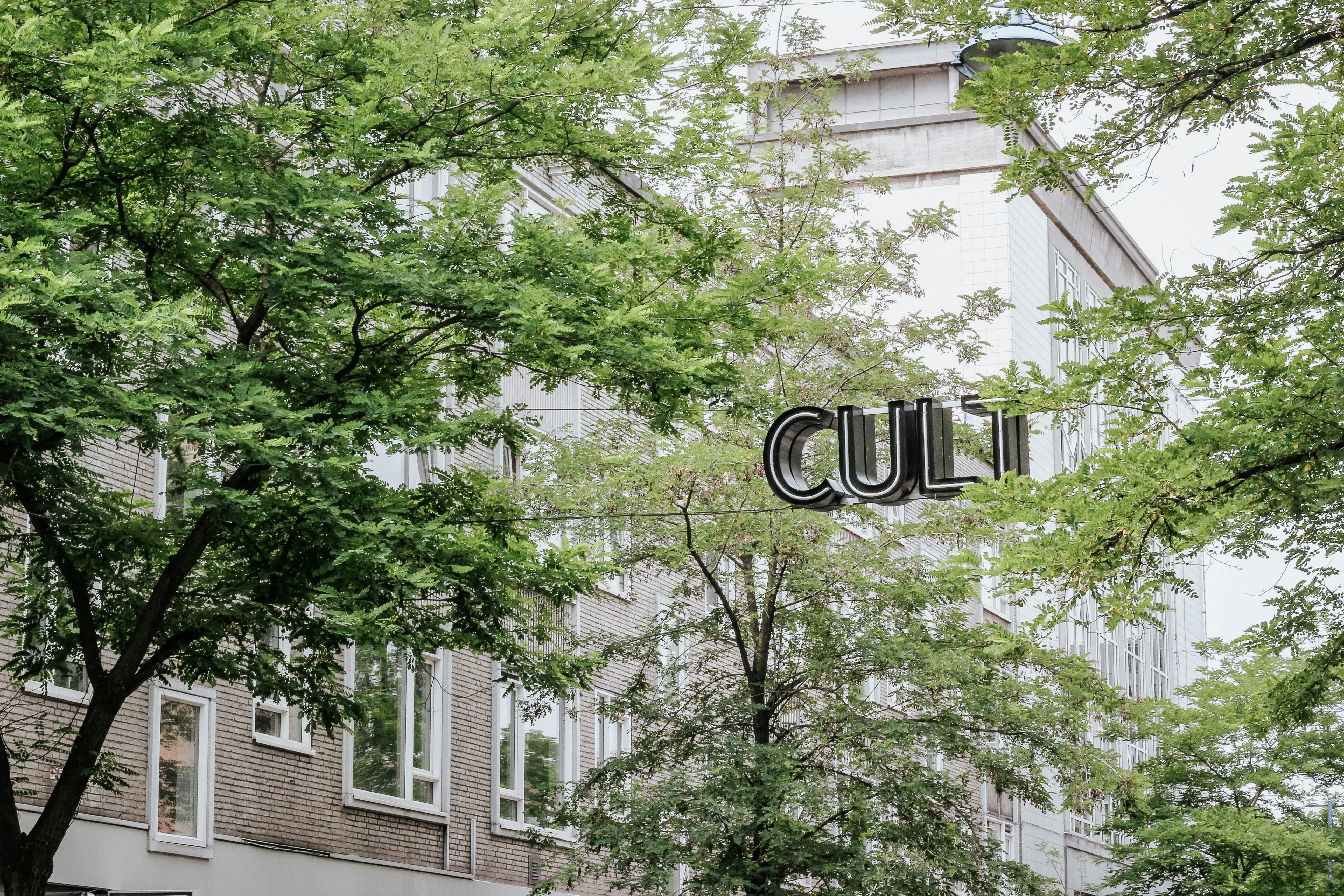 Cult-cutout signage photo – Free Outdoors Image on Unsplash