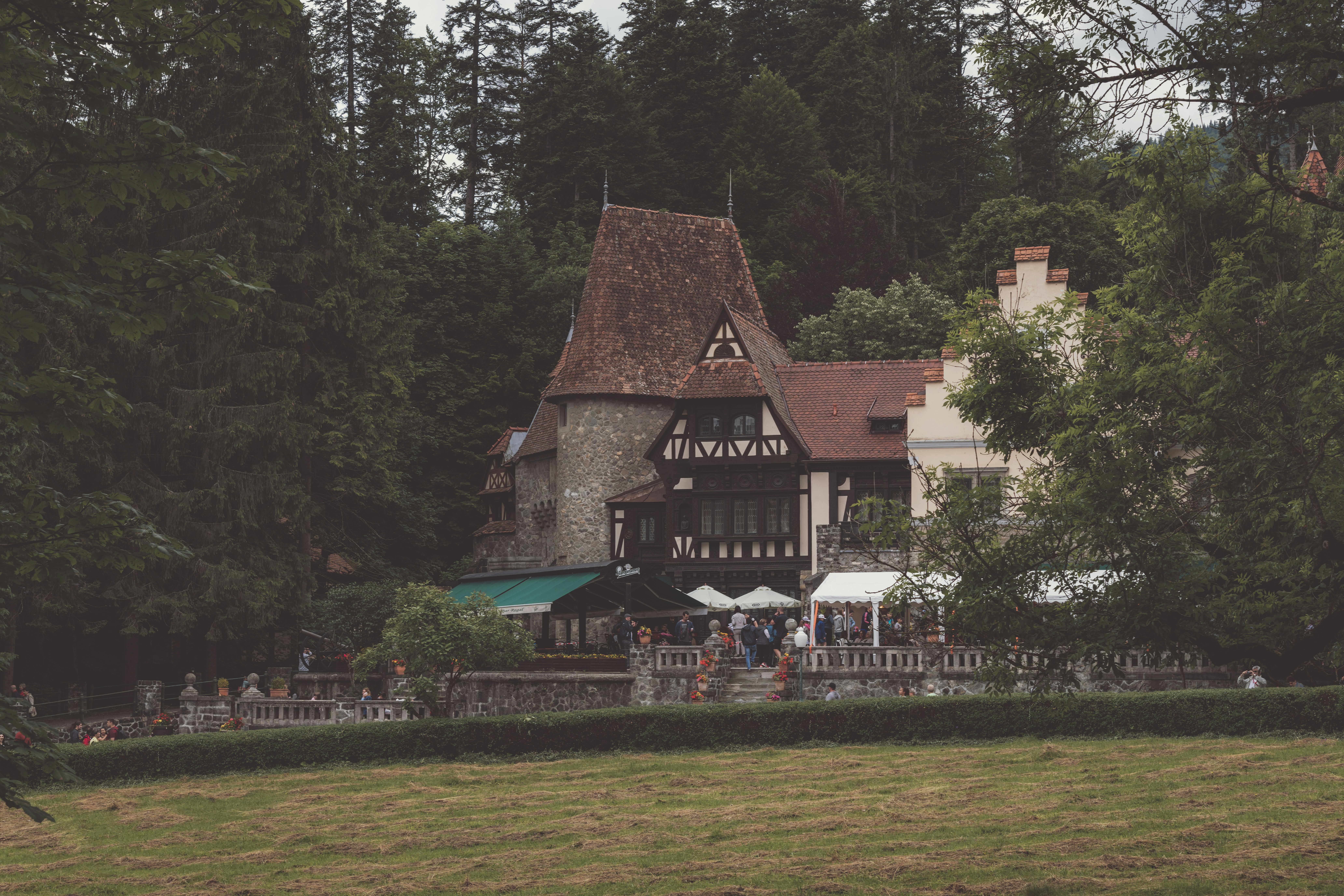 grey and brown house between trees