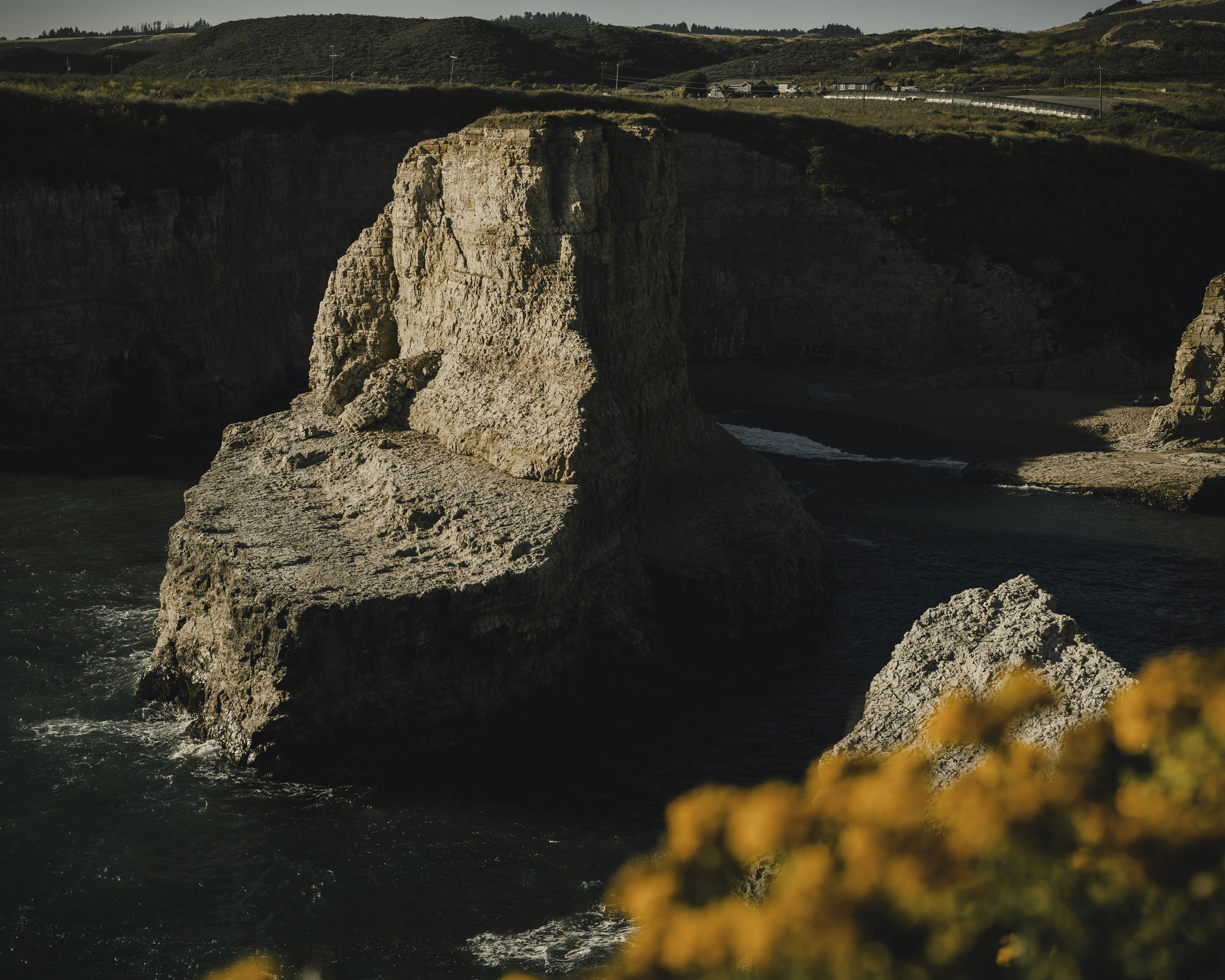 Majestic sea cliffs rise above dark waters, framed by vibrant yellow flowers in the foreground.