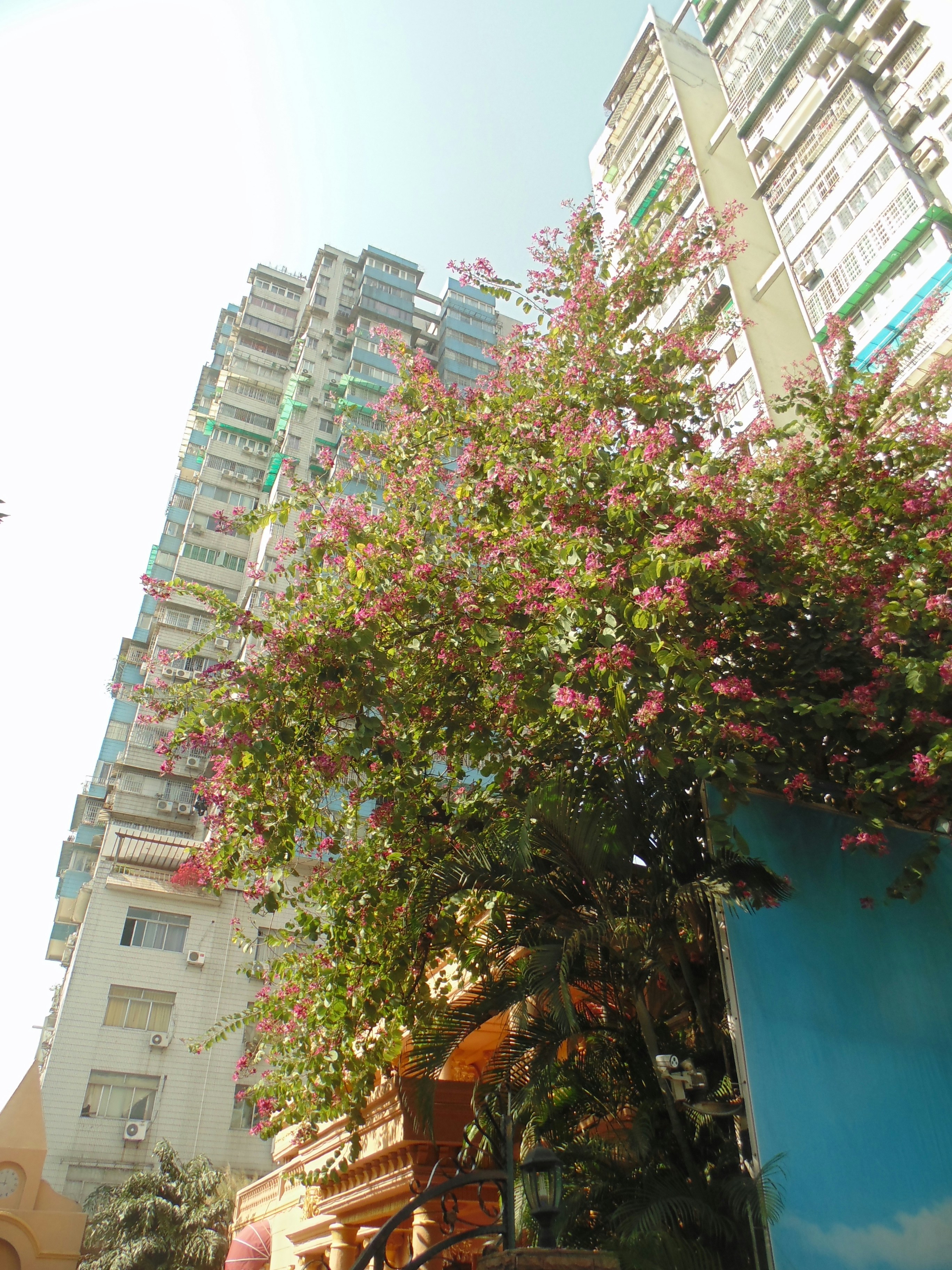 Buildings in Guangzhou, China.