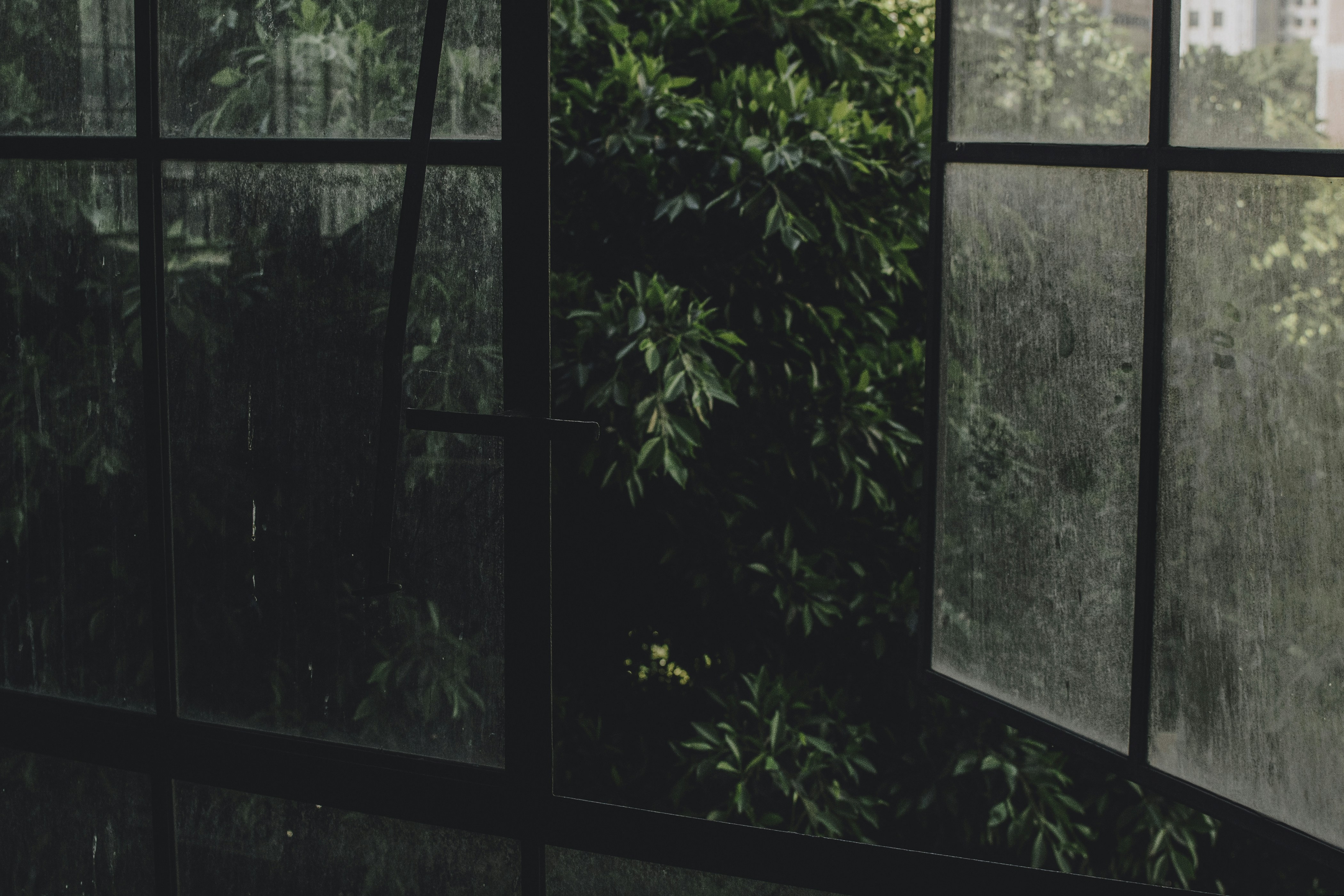 Green trees outside window photo – Free Black Image on Unsplash