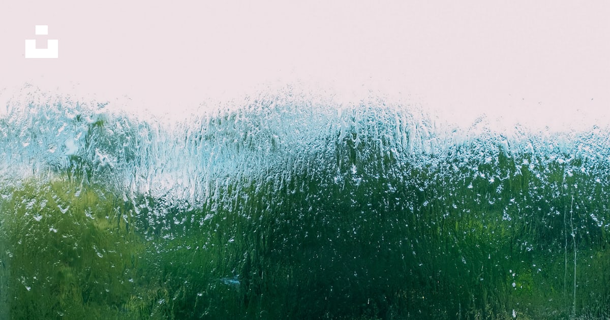 배경에 풀과 나무가 있는 들판의 그림 사진 Unsplash의 무료 회색 이미지