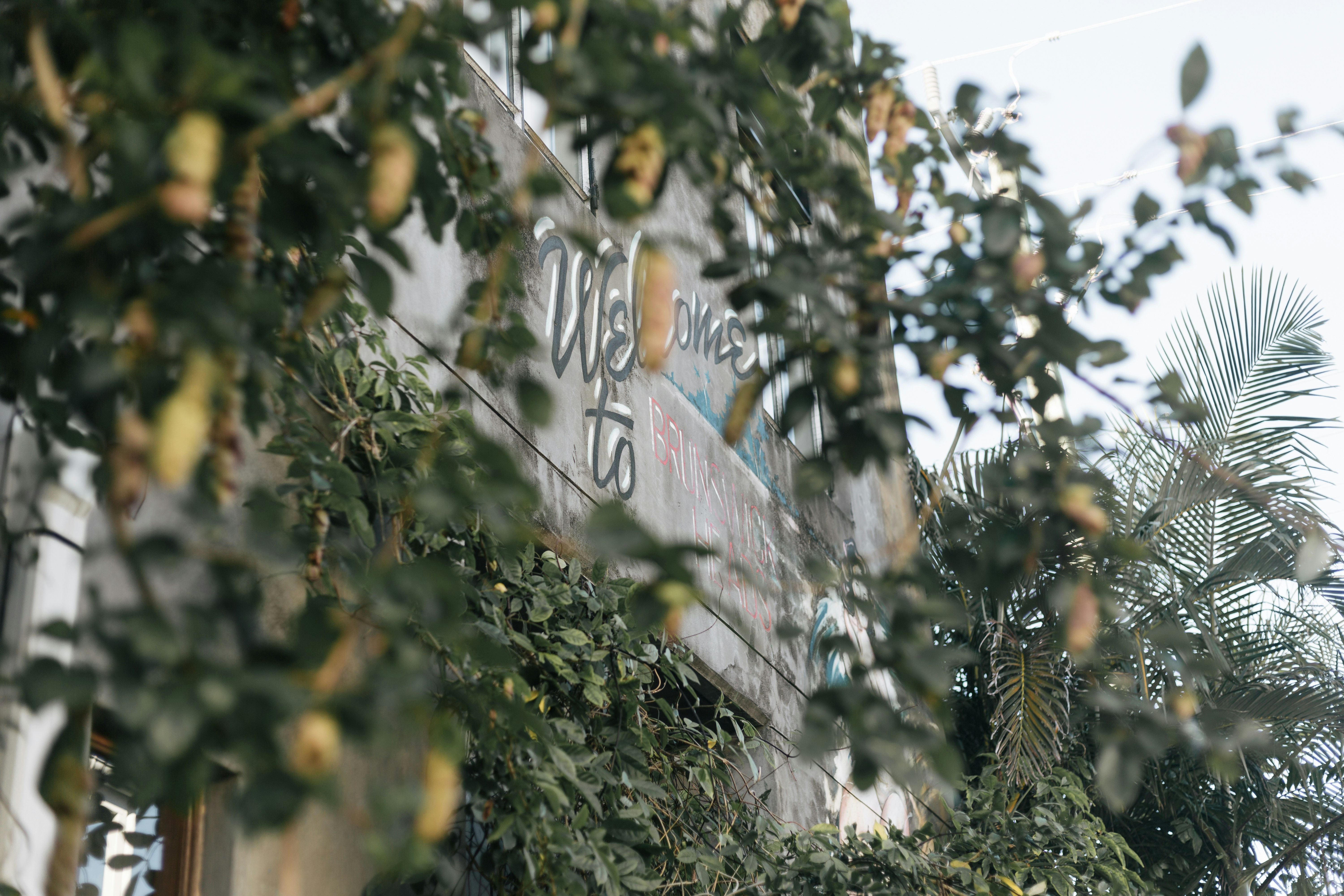 Lush green foliage partially obscures a modern building facade adorned with geometric patterns.