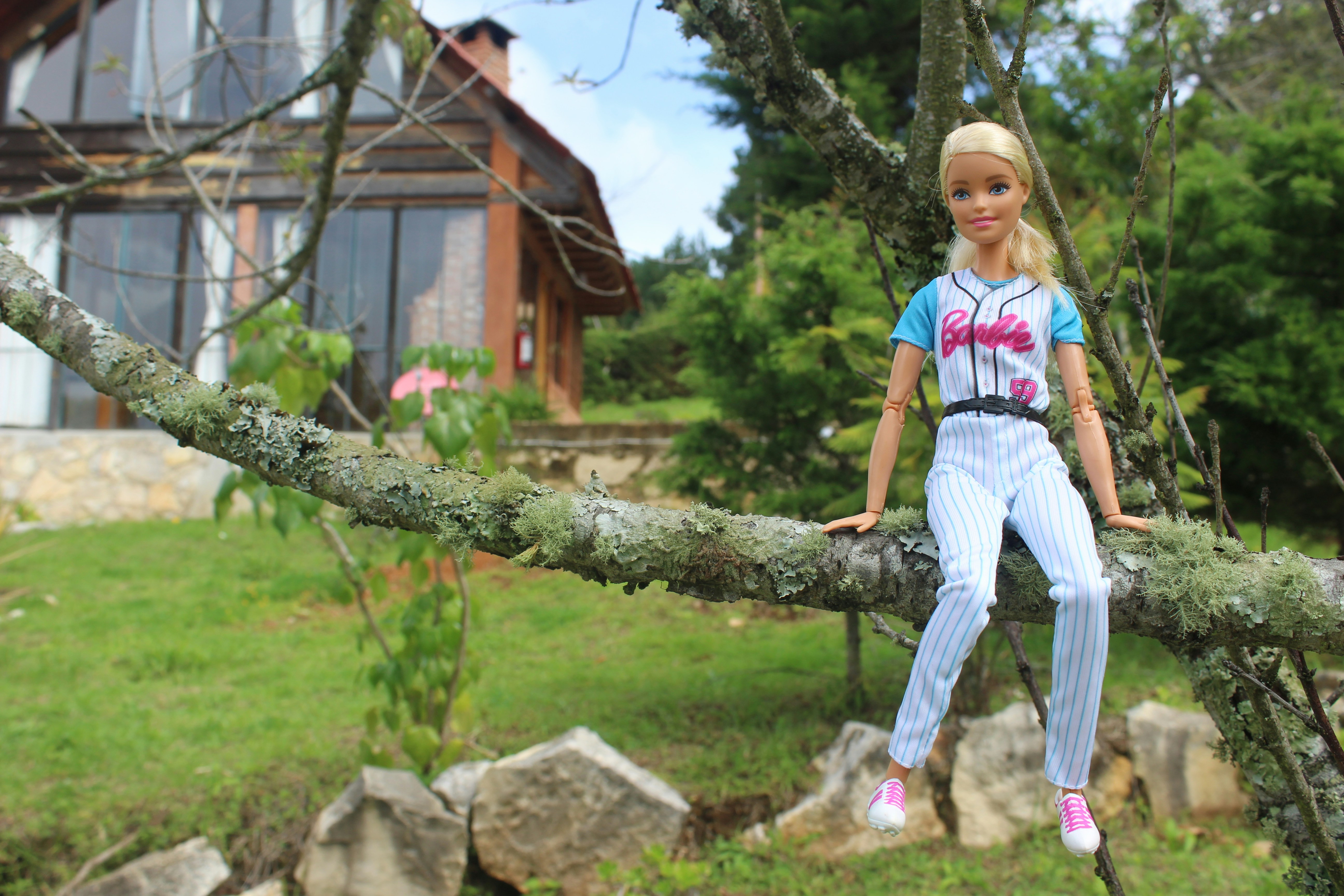 Foto Muñeca Barbie en la rama del árbol – Imagen Vestir gratis en Unsplash