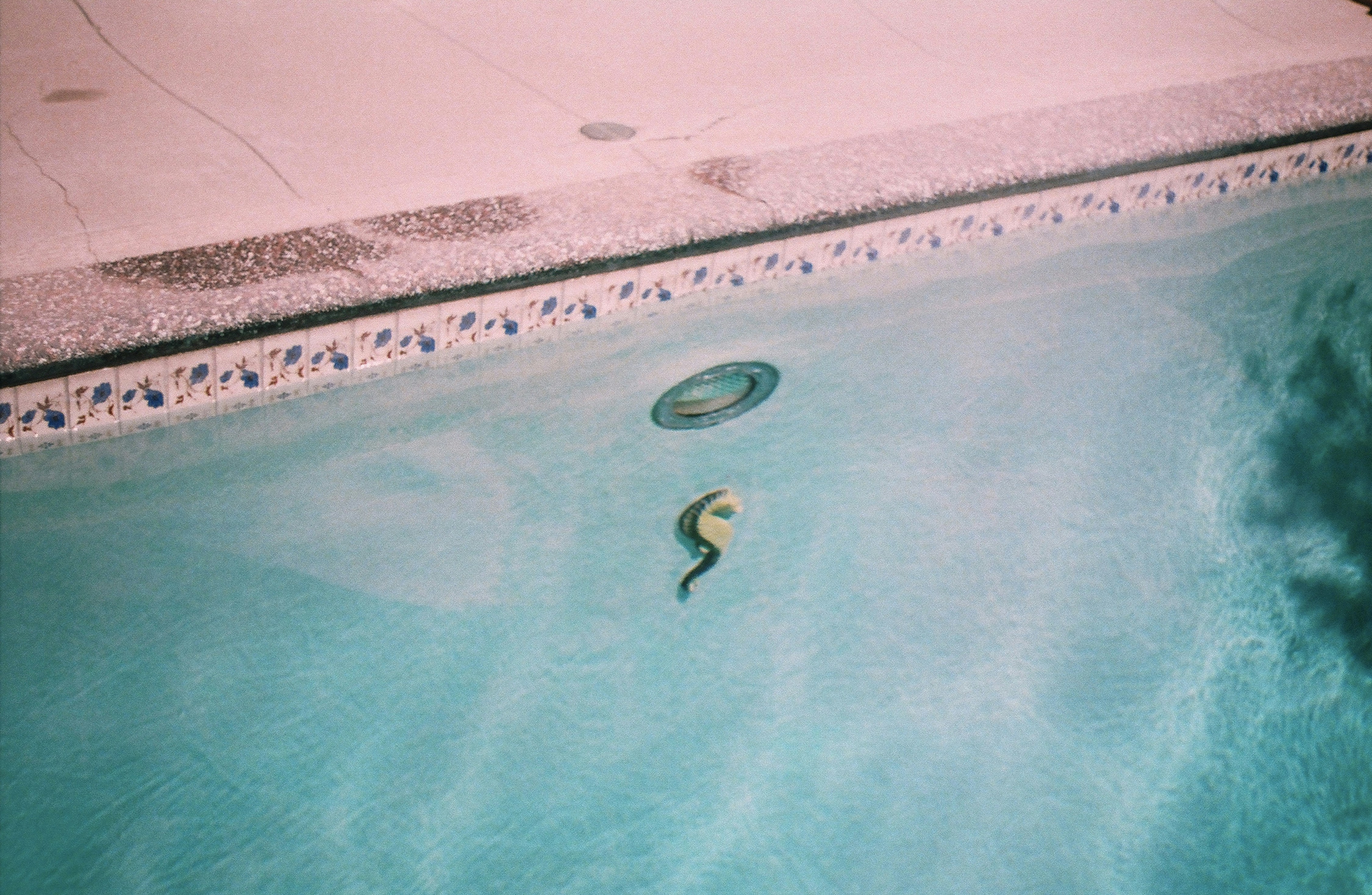 Emerald S-Curve Drifting in Turquoise Pool Water