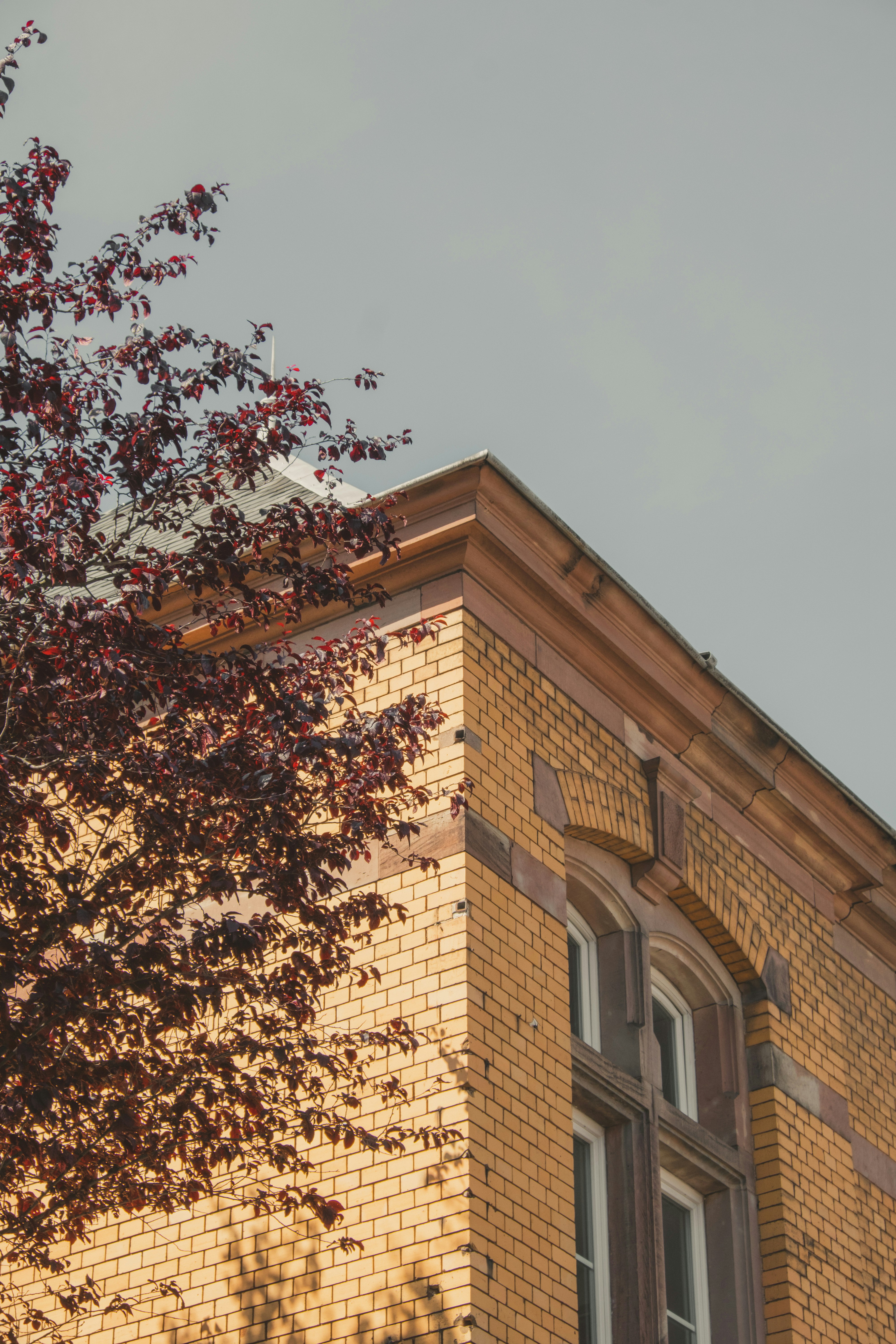 Vibrant red leaves frame the corner of a historic brick building, highlighting architectural details against a soft sky.