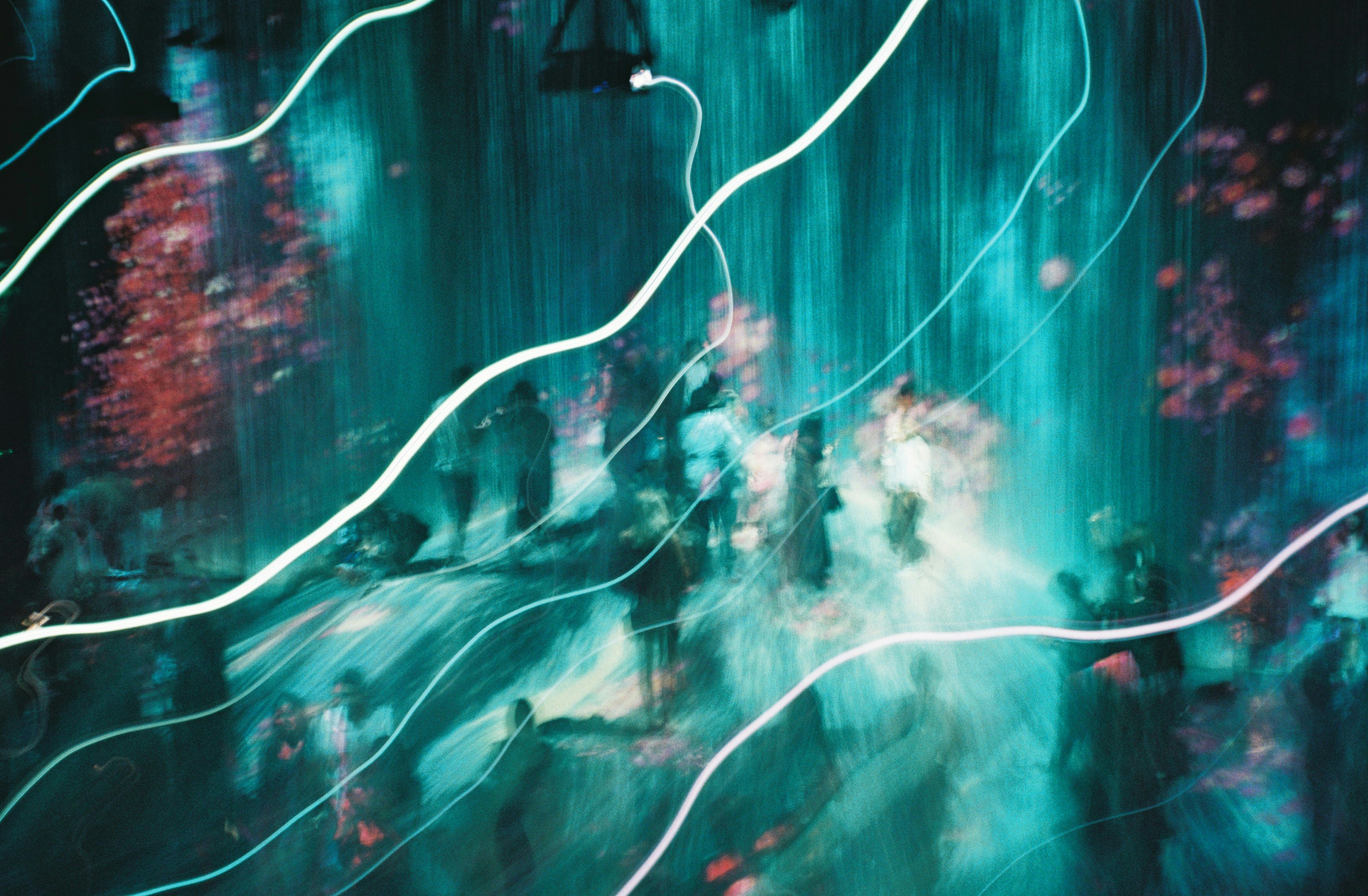 Borderless Pictures | Download Free Images on Unsplash