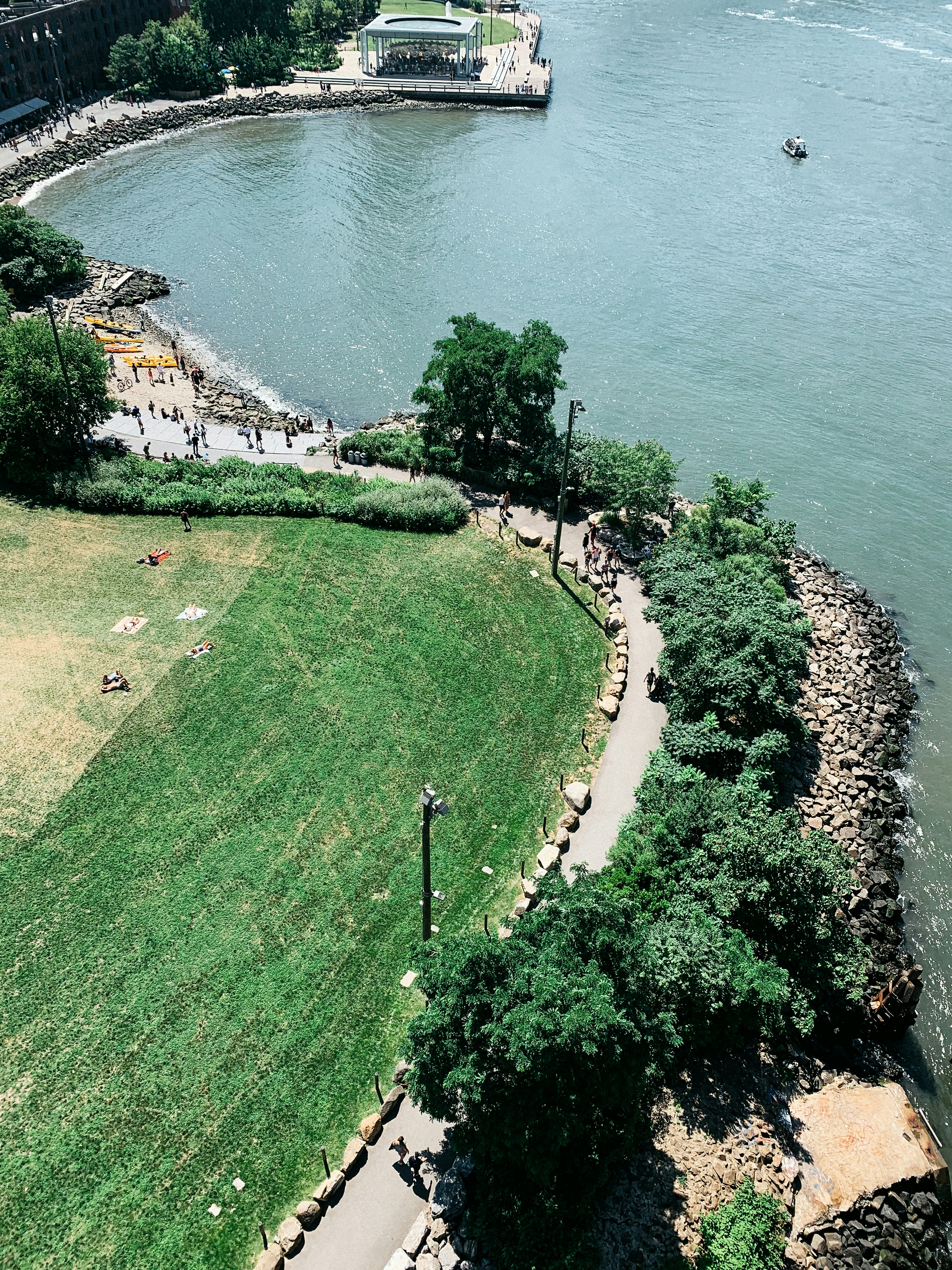 green grass and trees near body of water