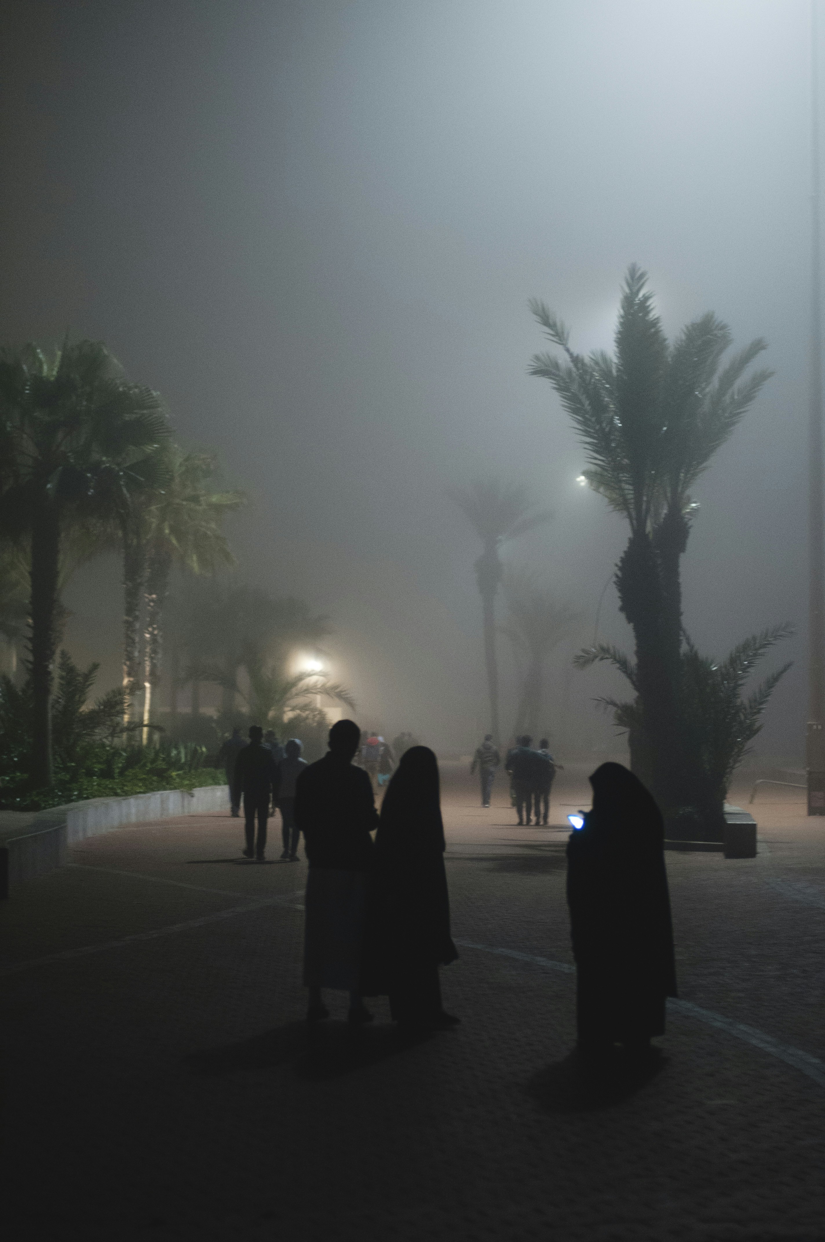 Silhouetted figures wander through a foggy promenade lined with palm trees, illuminated by distant lights. The atmosphere evokes a sense of mystery and tranquility.