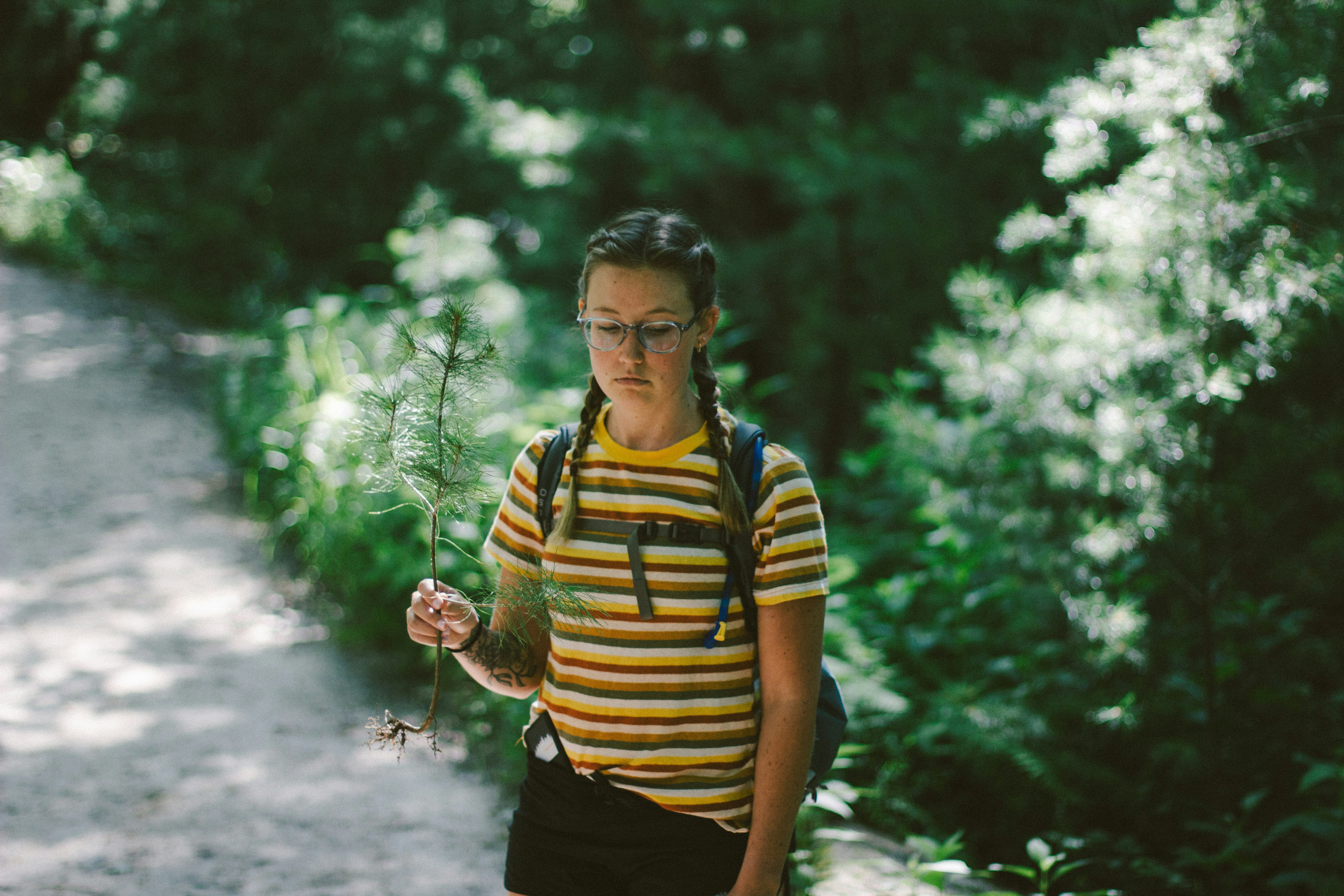 Dappled Light Pause: A Trailbound Moment with a Sprig