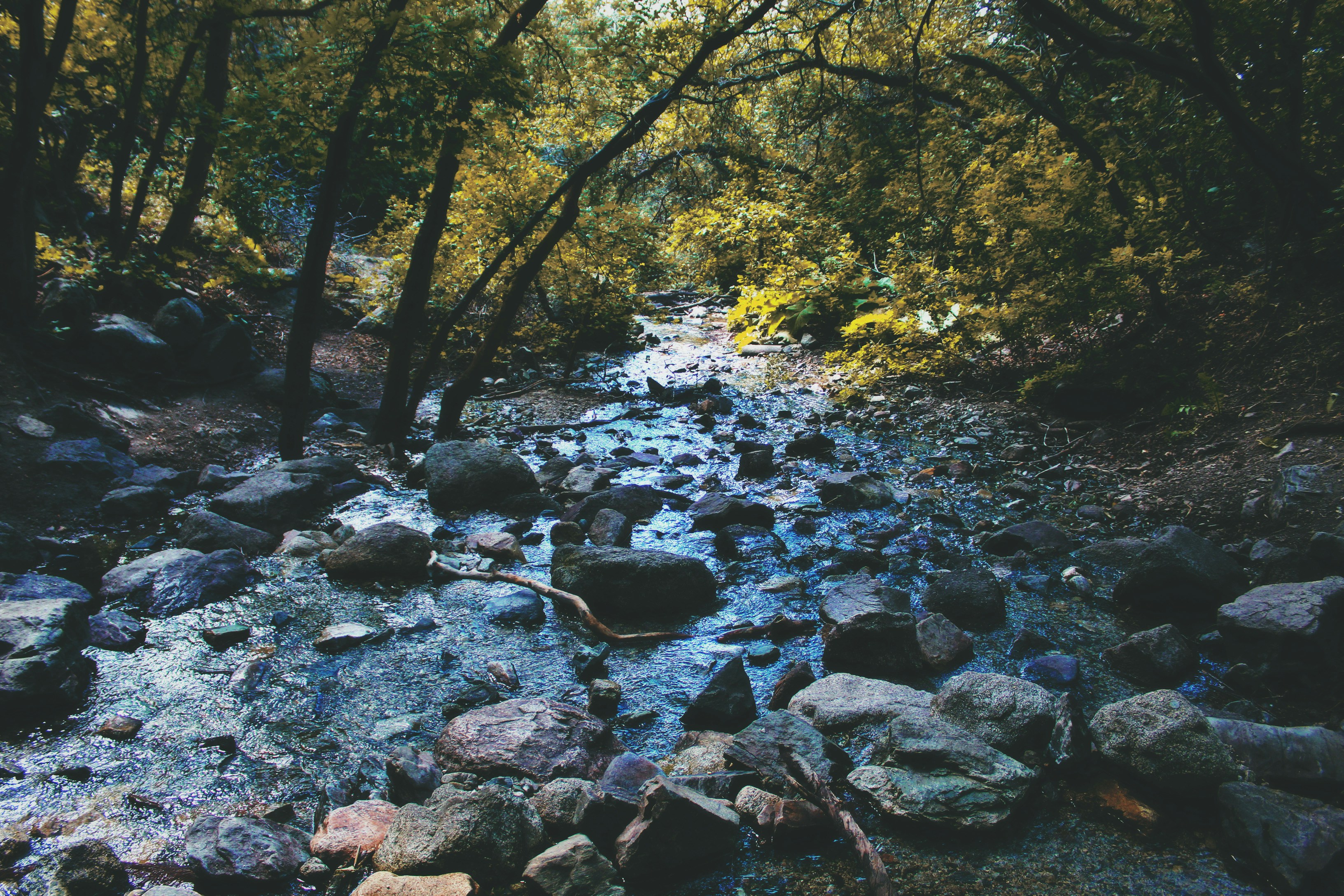 rocks beside body of water close-up photography