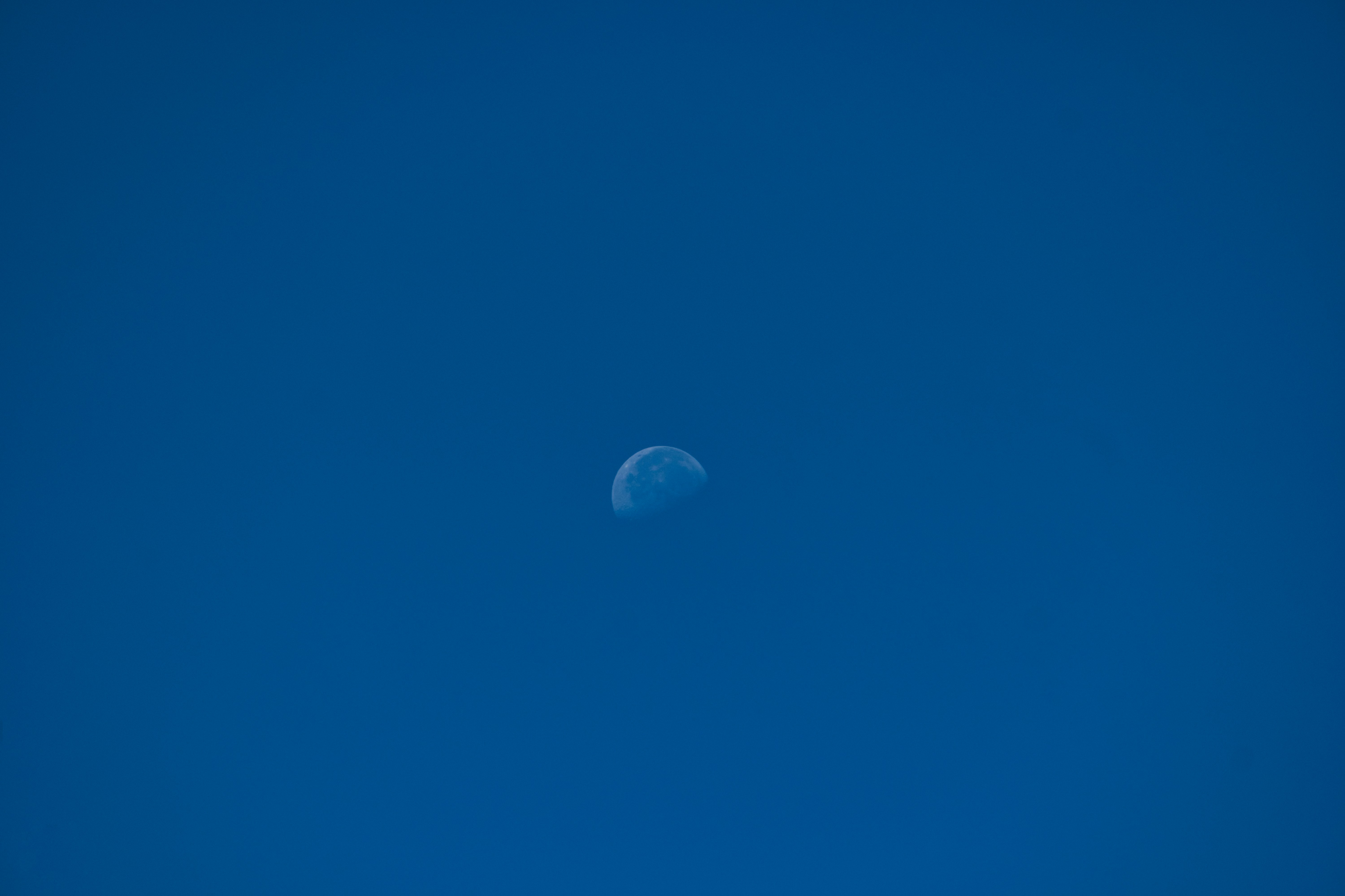 1K+ Blue Moon Pictures | Download Free Images on Unsplash