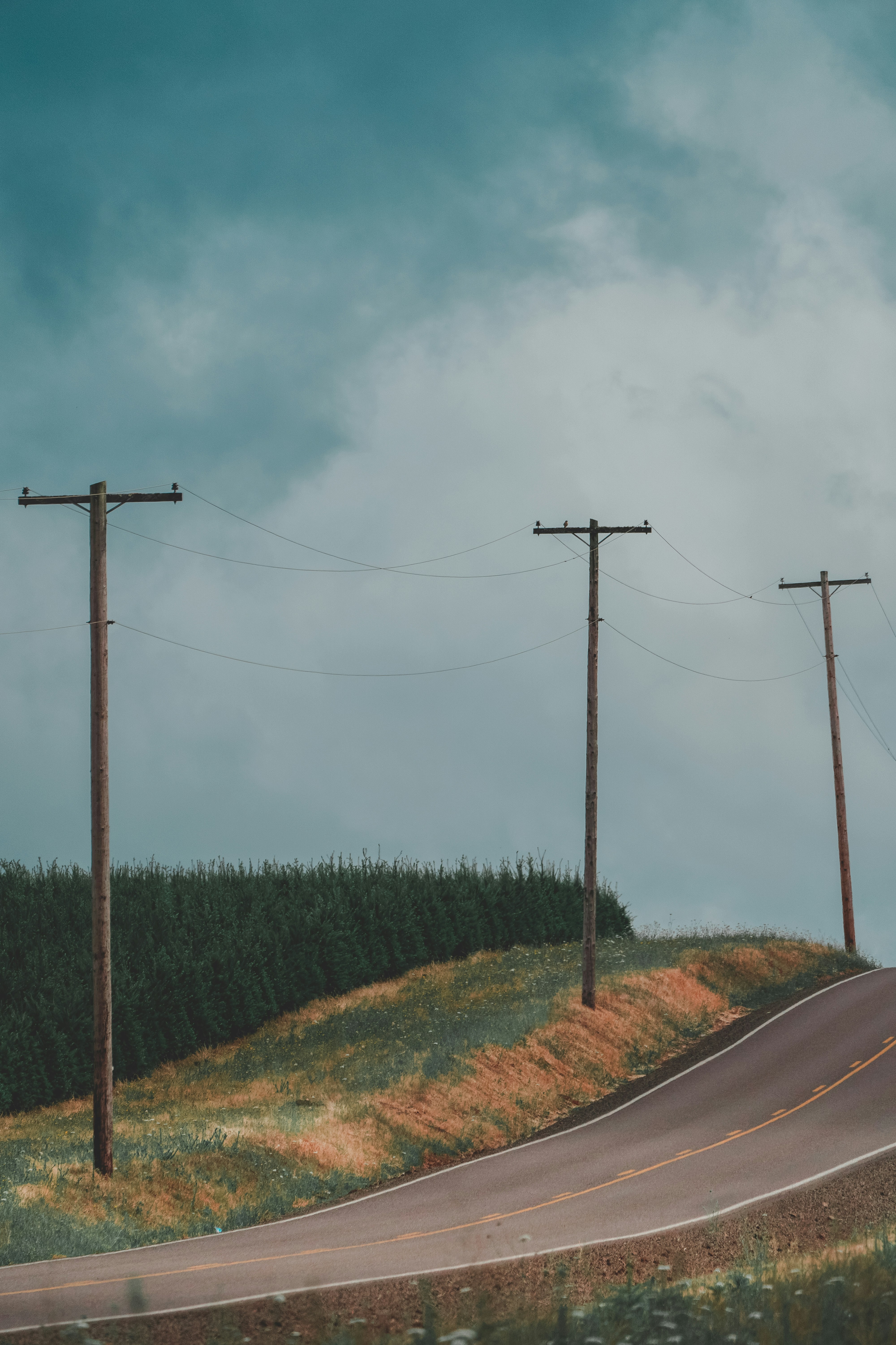 Curved rural road lined with telephone poles, leading through lush green fields under a moody sky.
