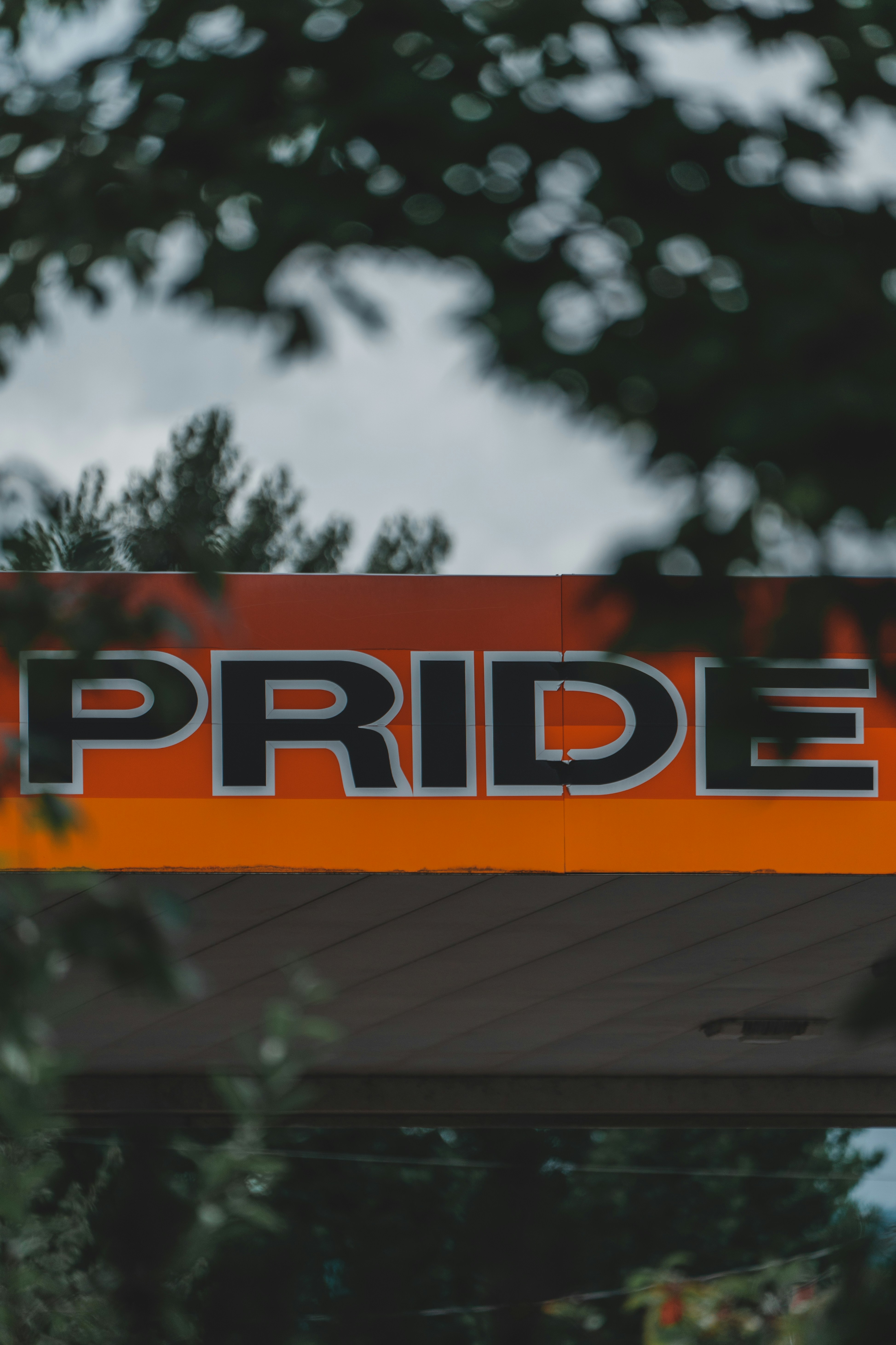 Pride Banner Framed by Foliage