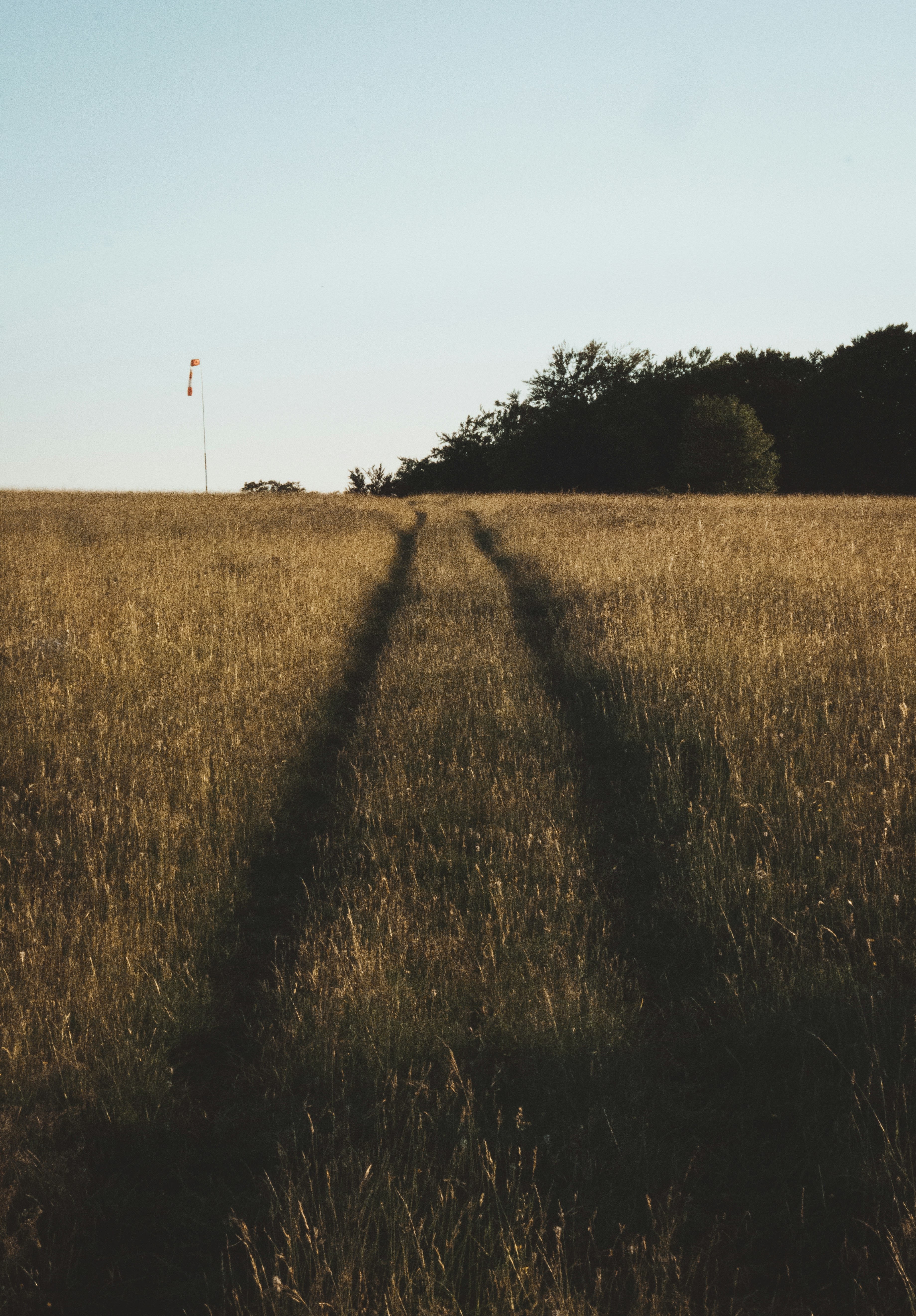 Pathway at the grassy fields during daytime photo – Free Field Image on ...