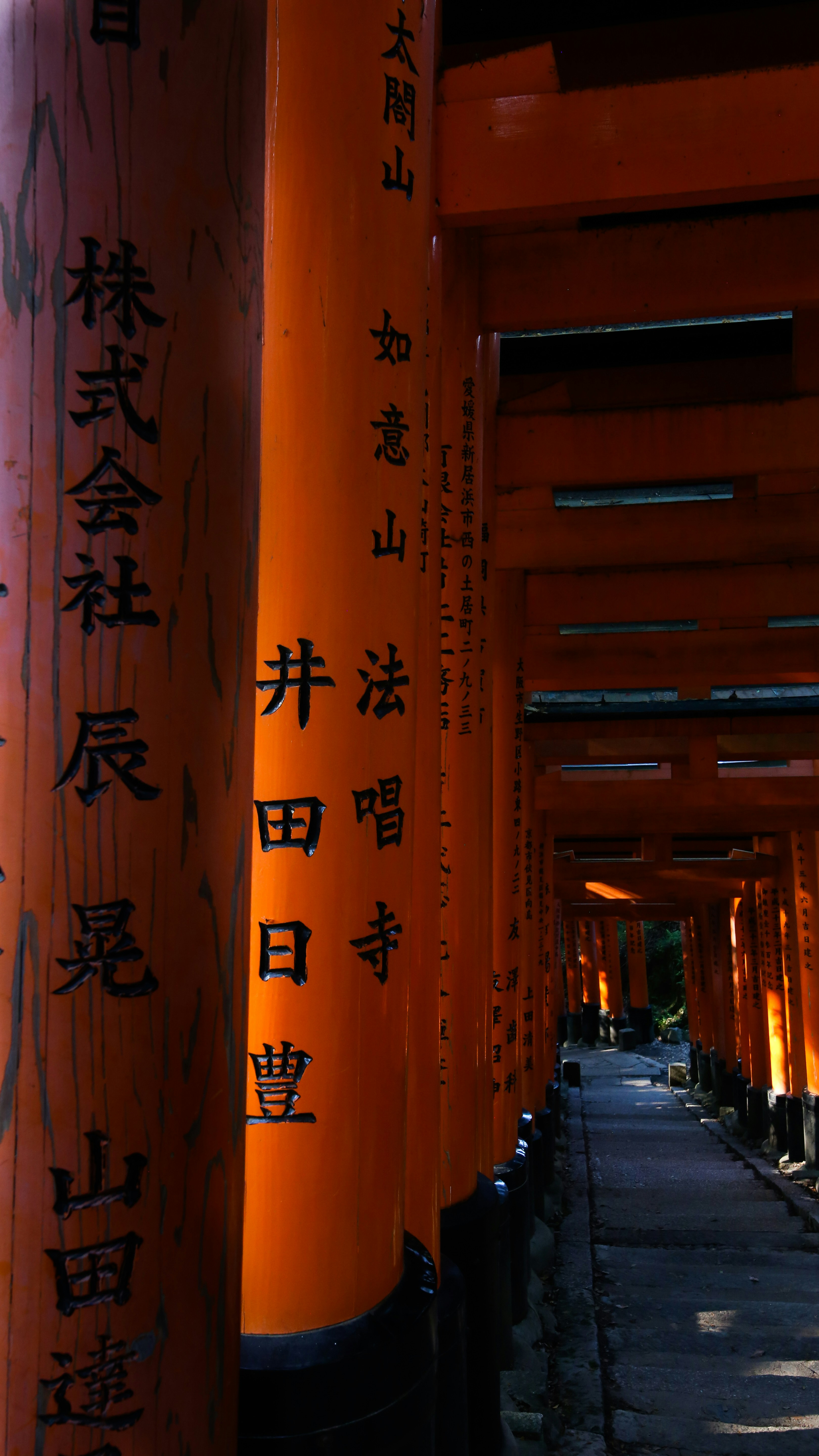 Vibrant orange torii gates adorned with intricate inscriptions line a serene path, inviting exploration through a tranquil landscape.