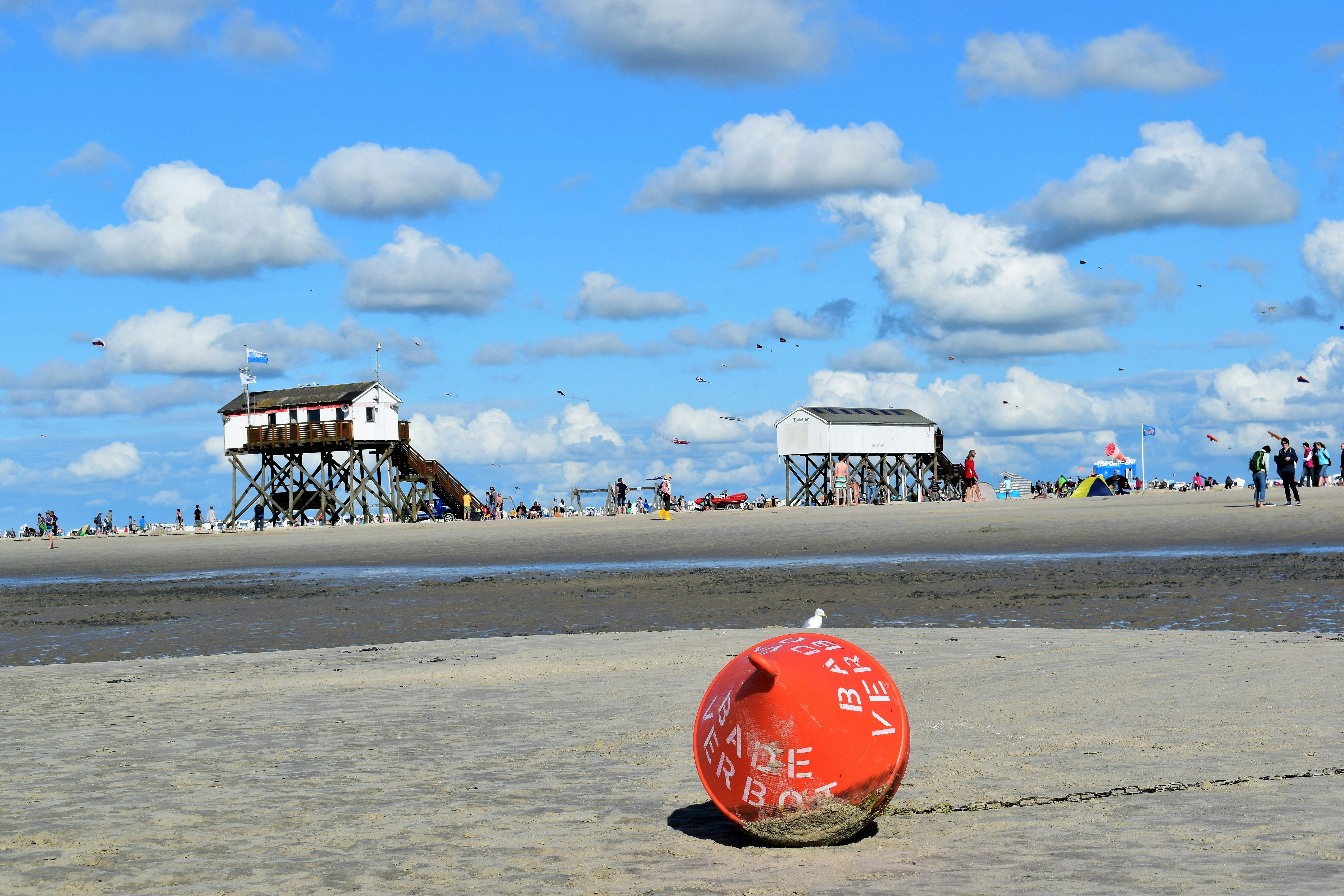 Définition de toron | Dictionnaire français