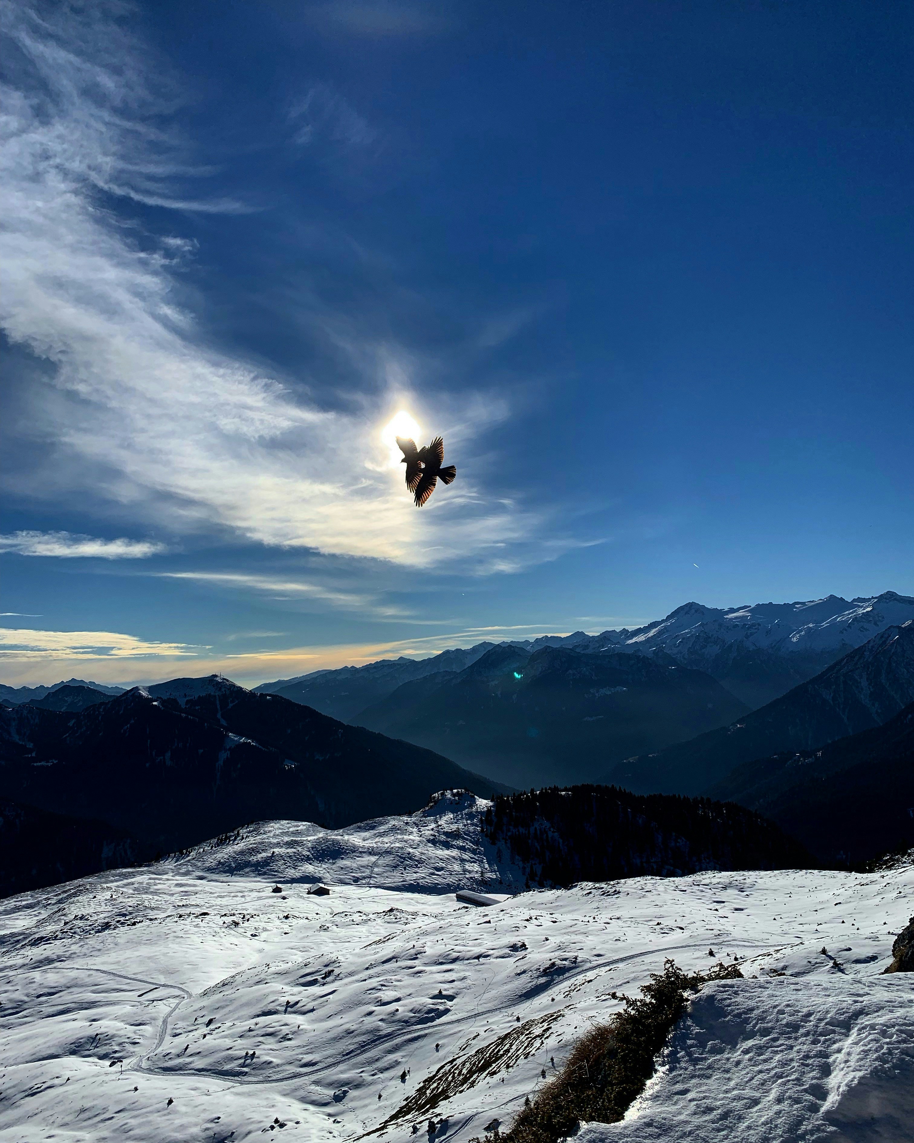 Soaring High: Aerial Adventure in Alpine Skies
