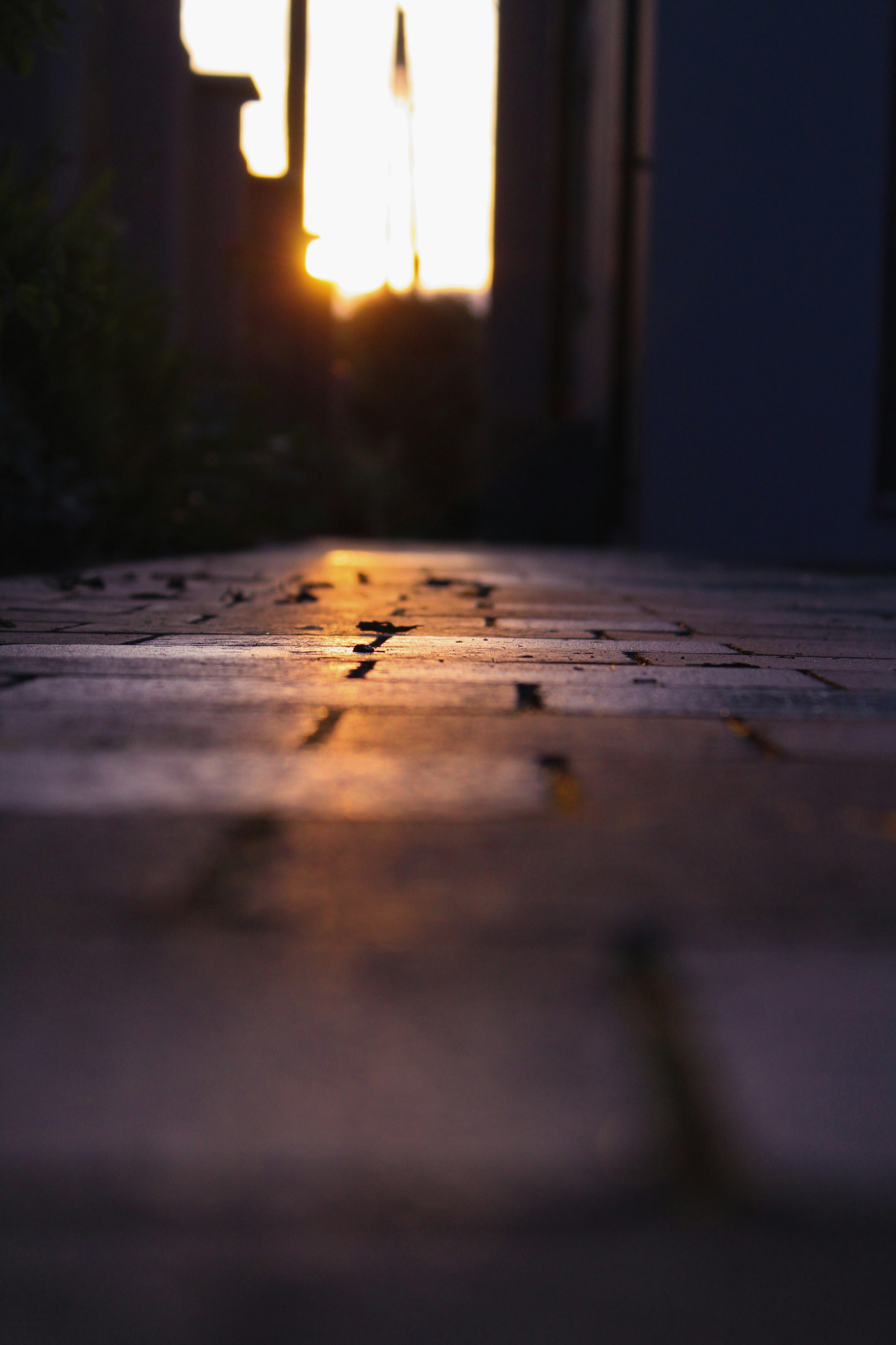 Gilded Gap: Sunlight Framing a Dusk Alley