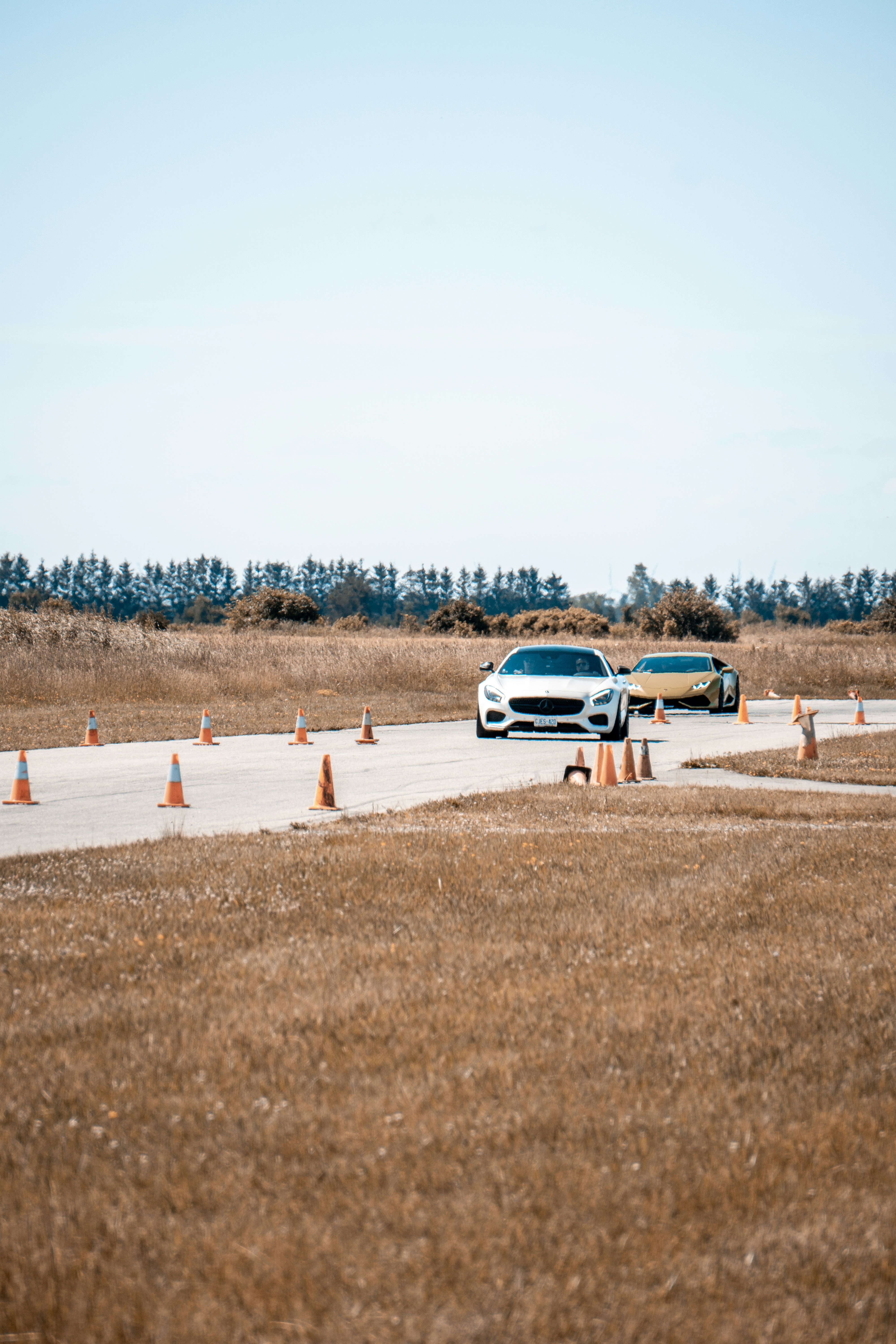 Two high-performance sports cars navigate a racetrack marked by traffic cones, set against a backdrop of tall grass and trees.