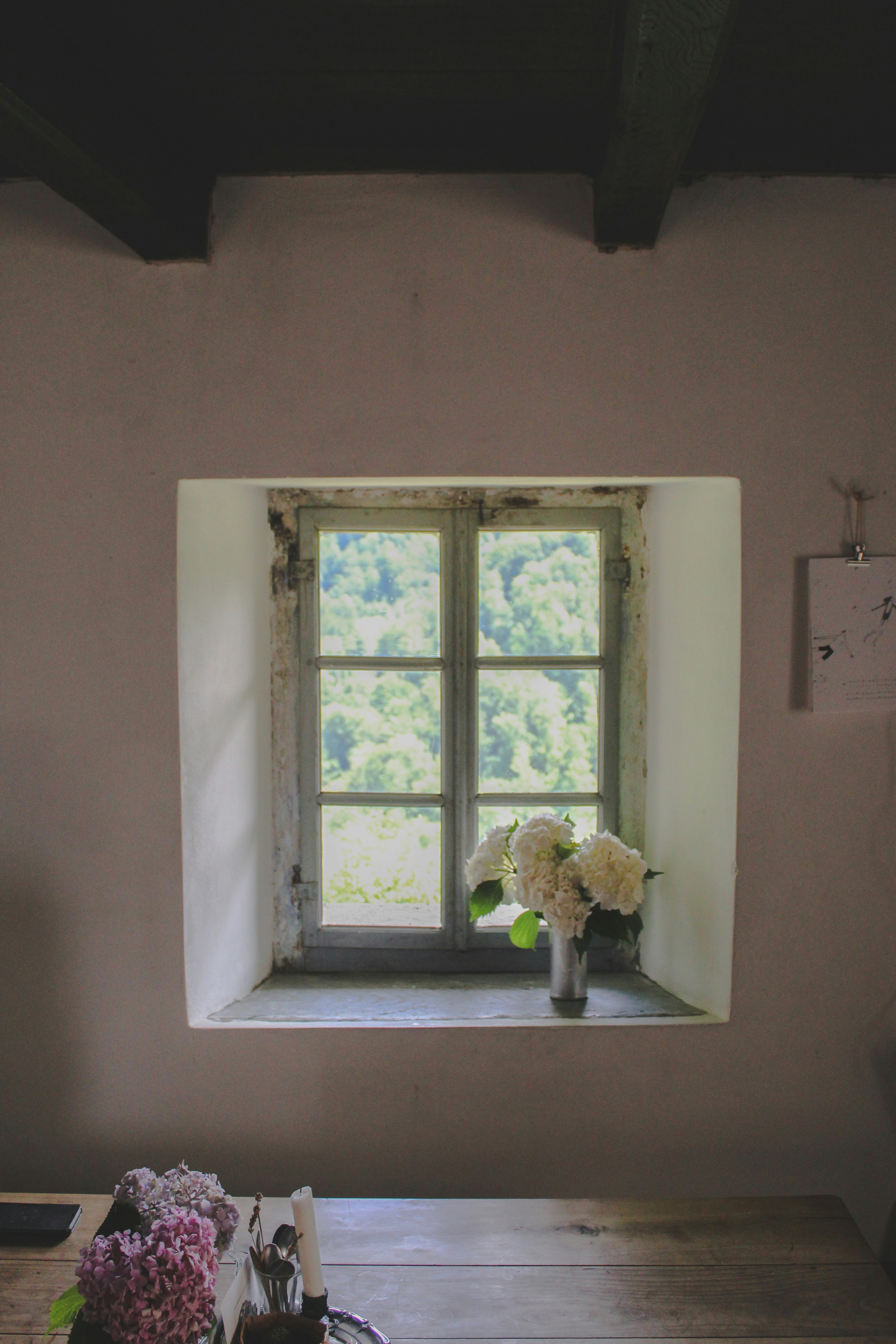 A quaint window adorned with a vase of white flowers, offering a glimpse into a lush green landscape beyond. The rustic wooden frame enhances the serene atmosphere.