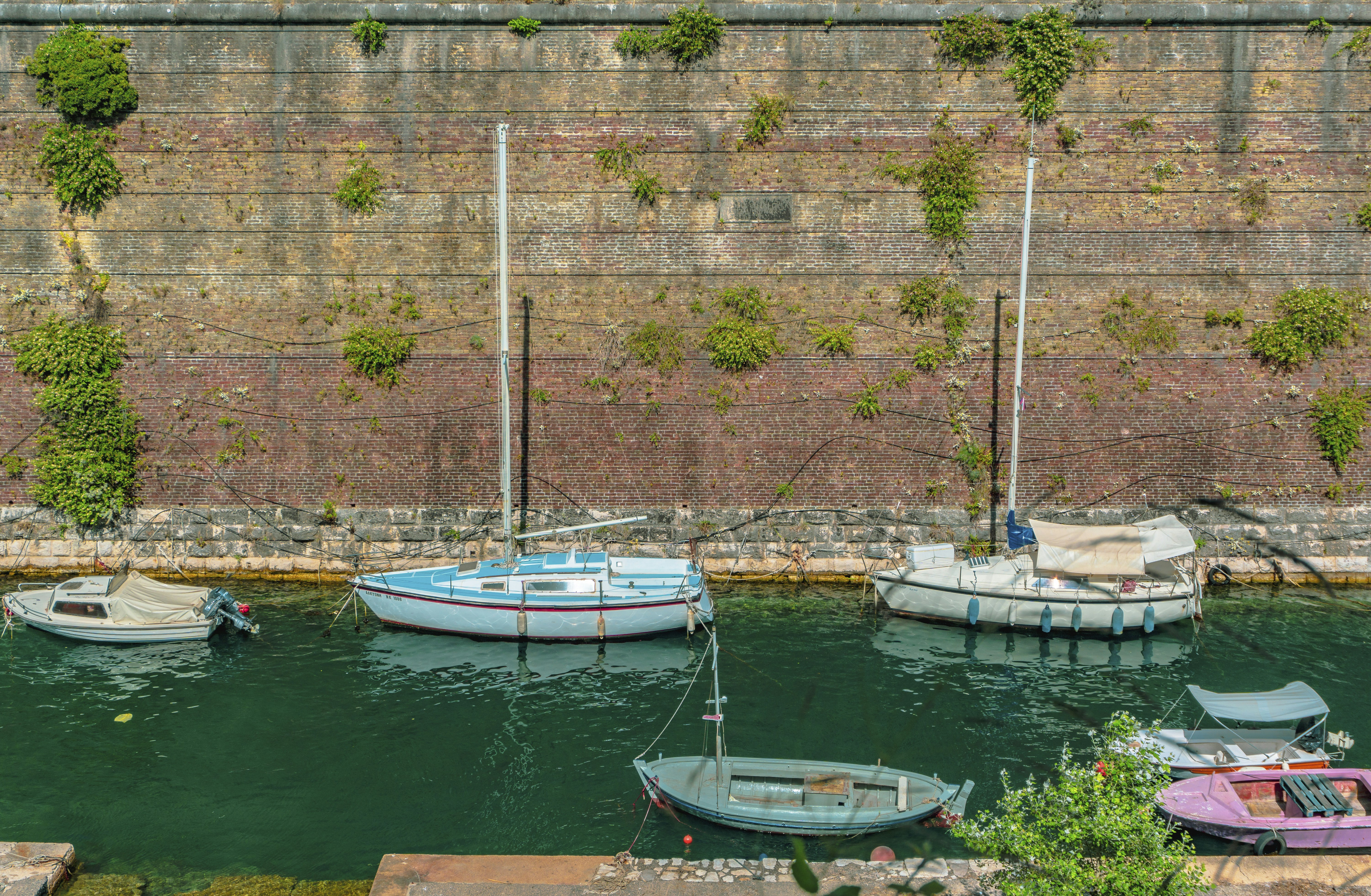 Blue-Trim Vessel and Quiet Harbor Along a Moss-Covered Seawall
