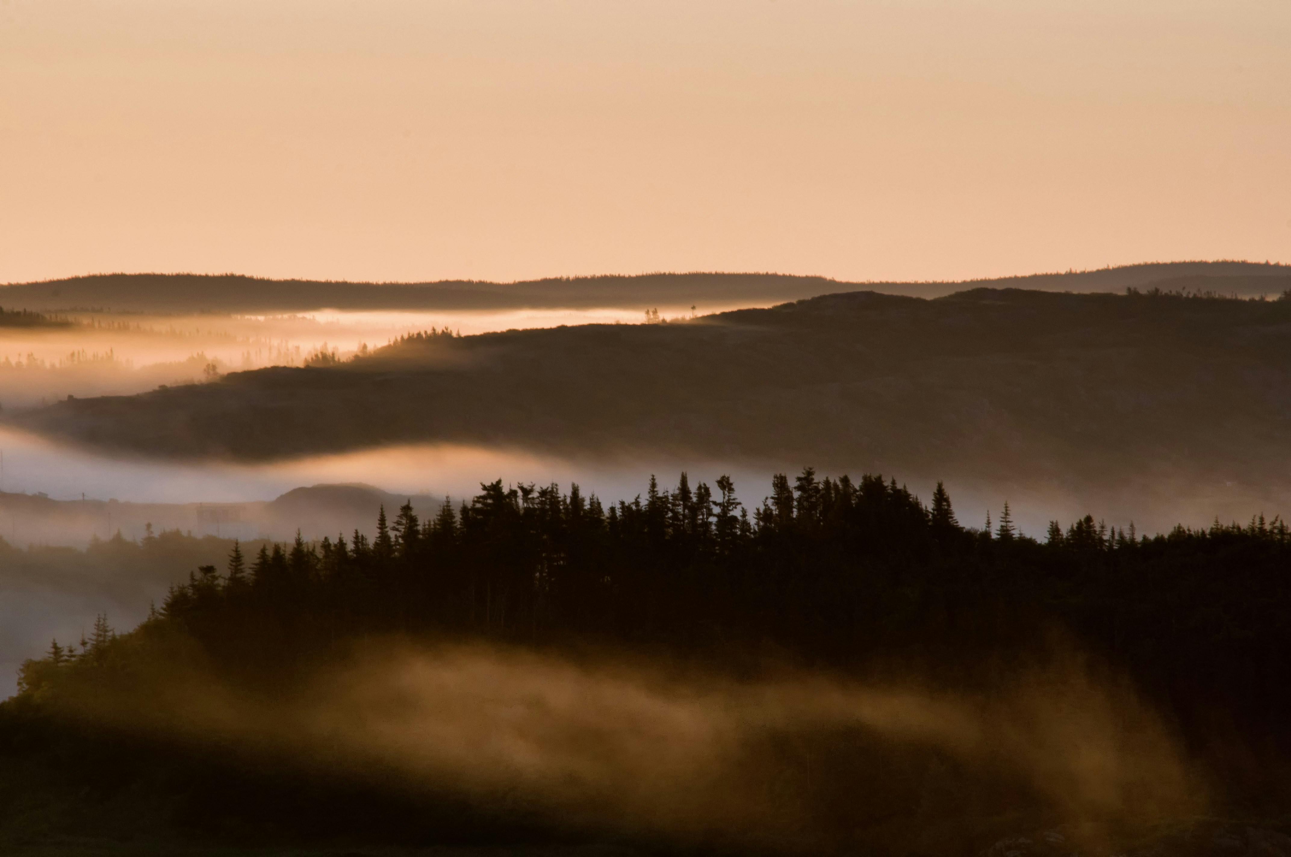 Happy NL Day - by Edward Hollett - Bond Papers