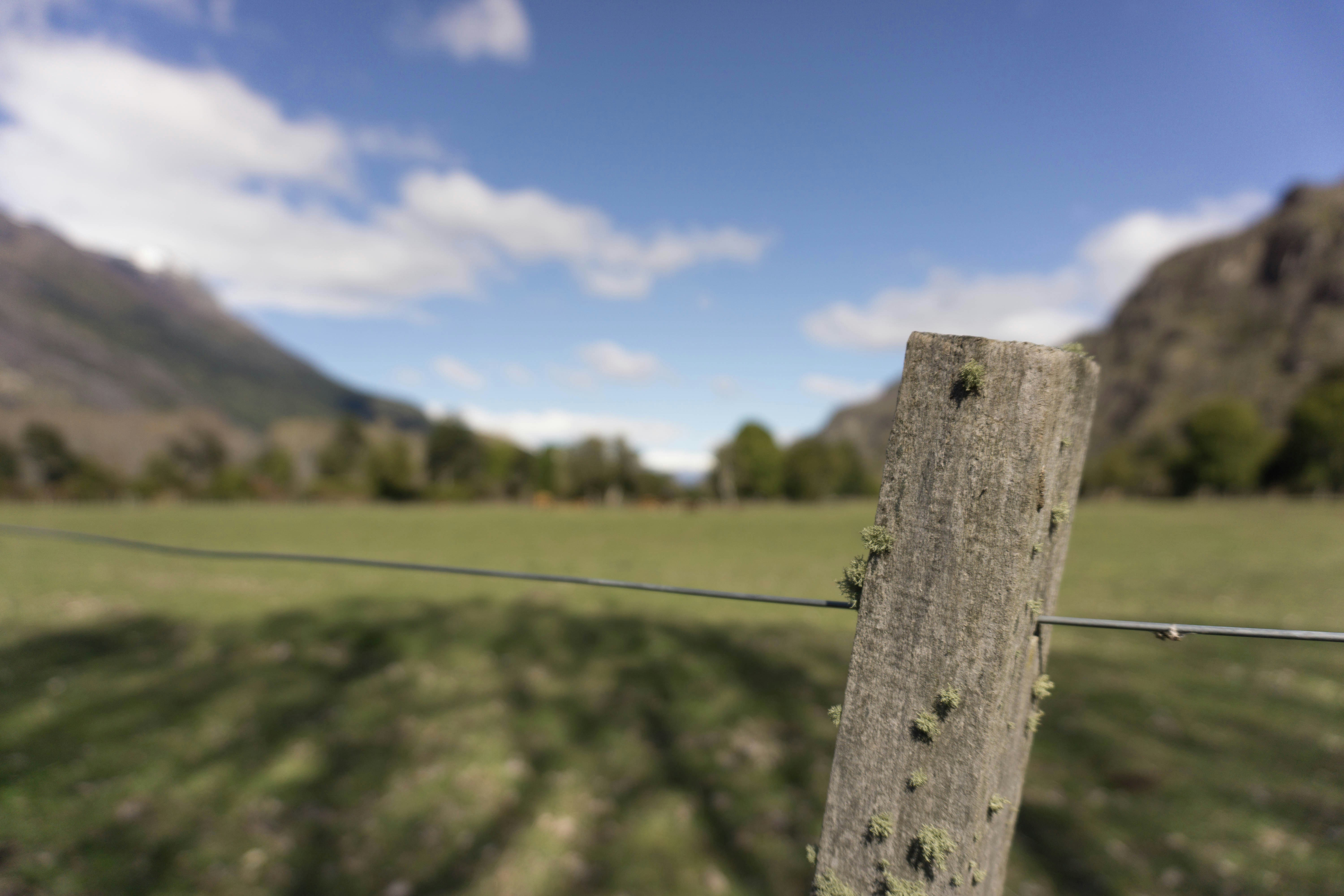 Weathered Fence Post at the Field's Edge