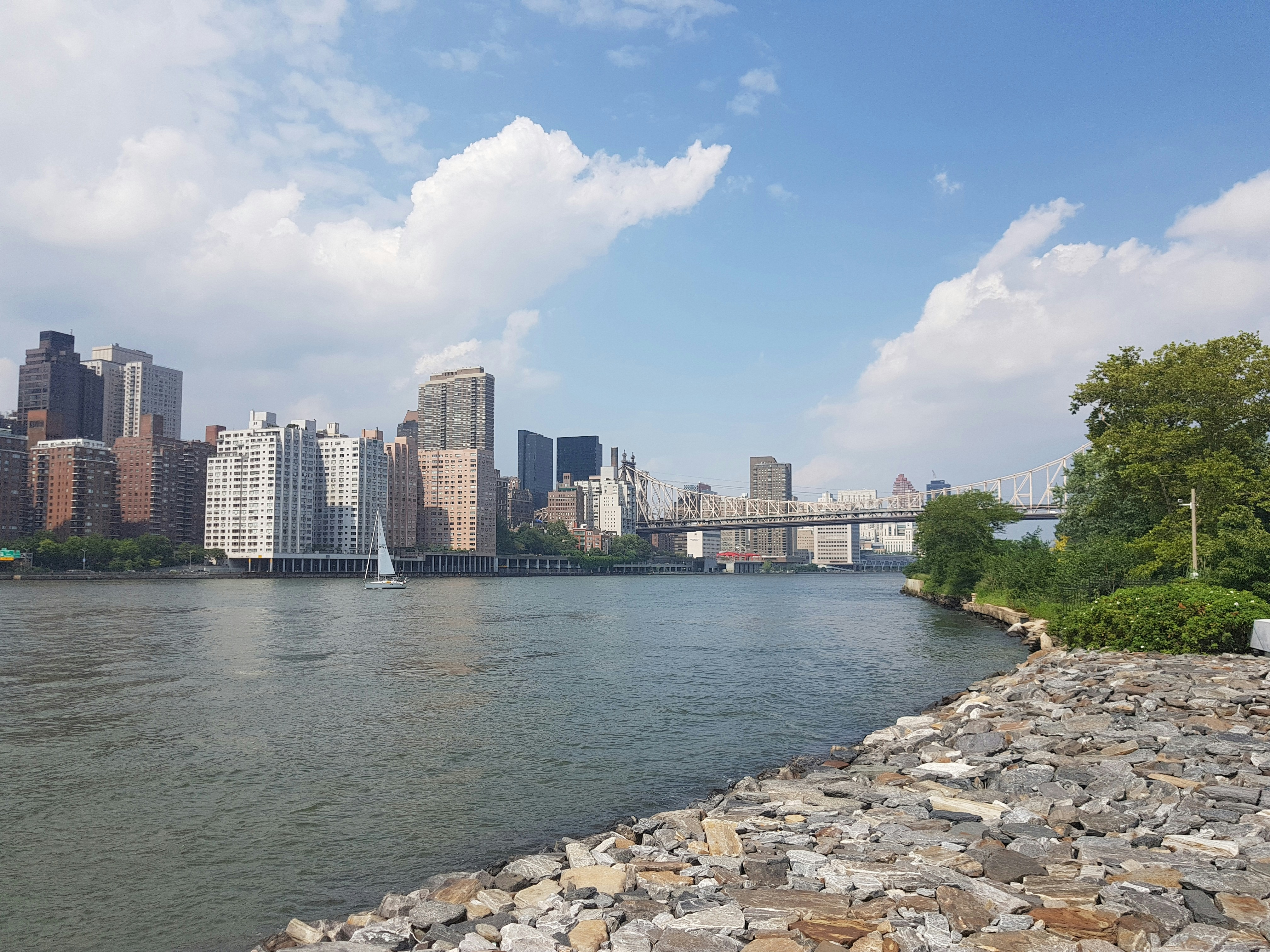Sailboat gliding on the river with a backdrop of urban architecture and a distant bridge. Lush greenery frames the rocky shoreline.