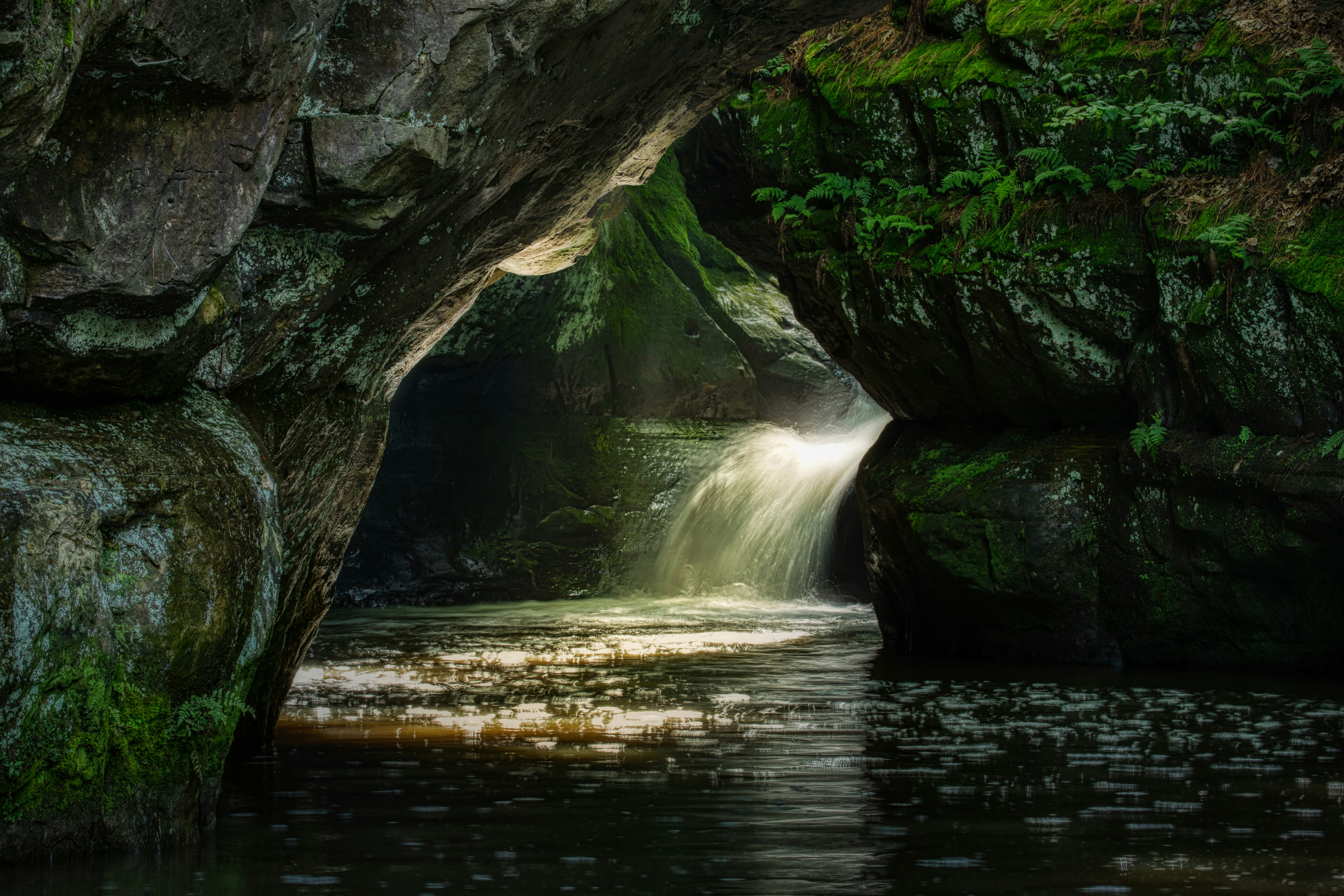 Sunlit Passage Through the Forest Arch