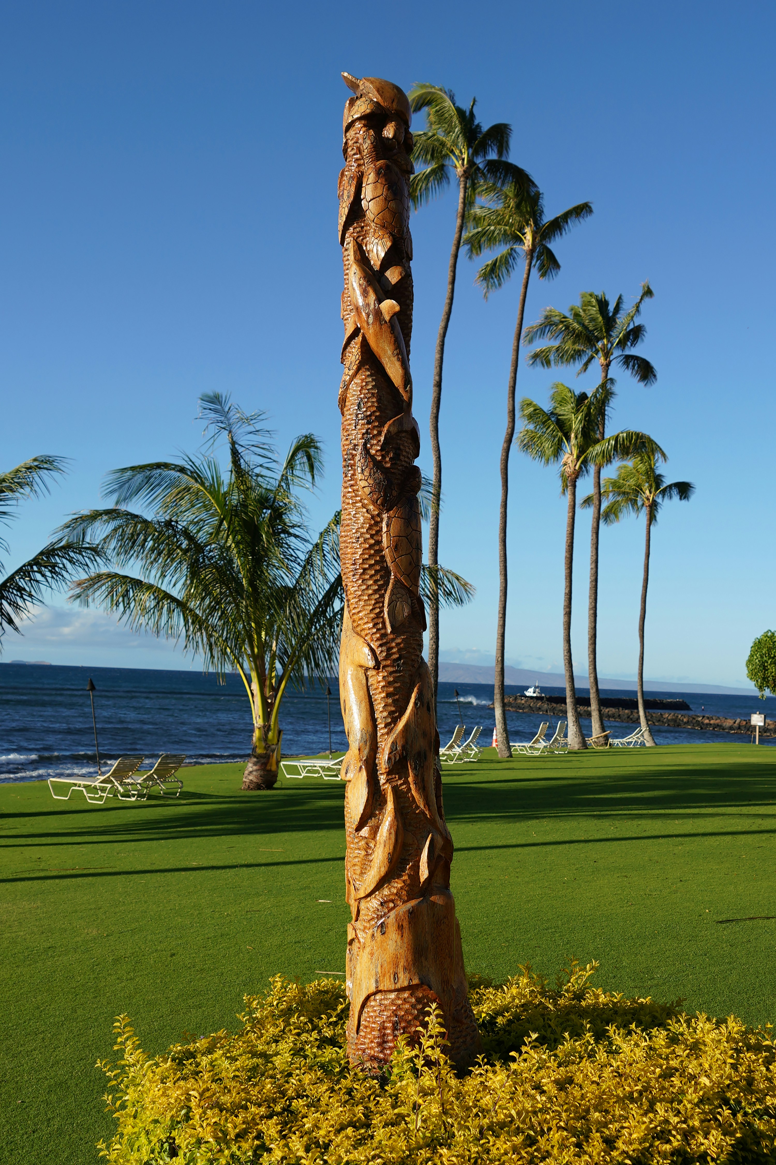 Hawaii palm tree carving