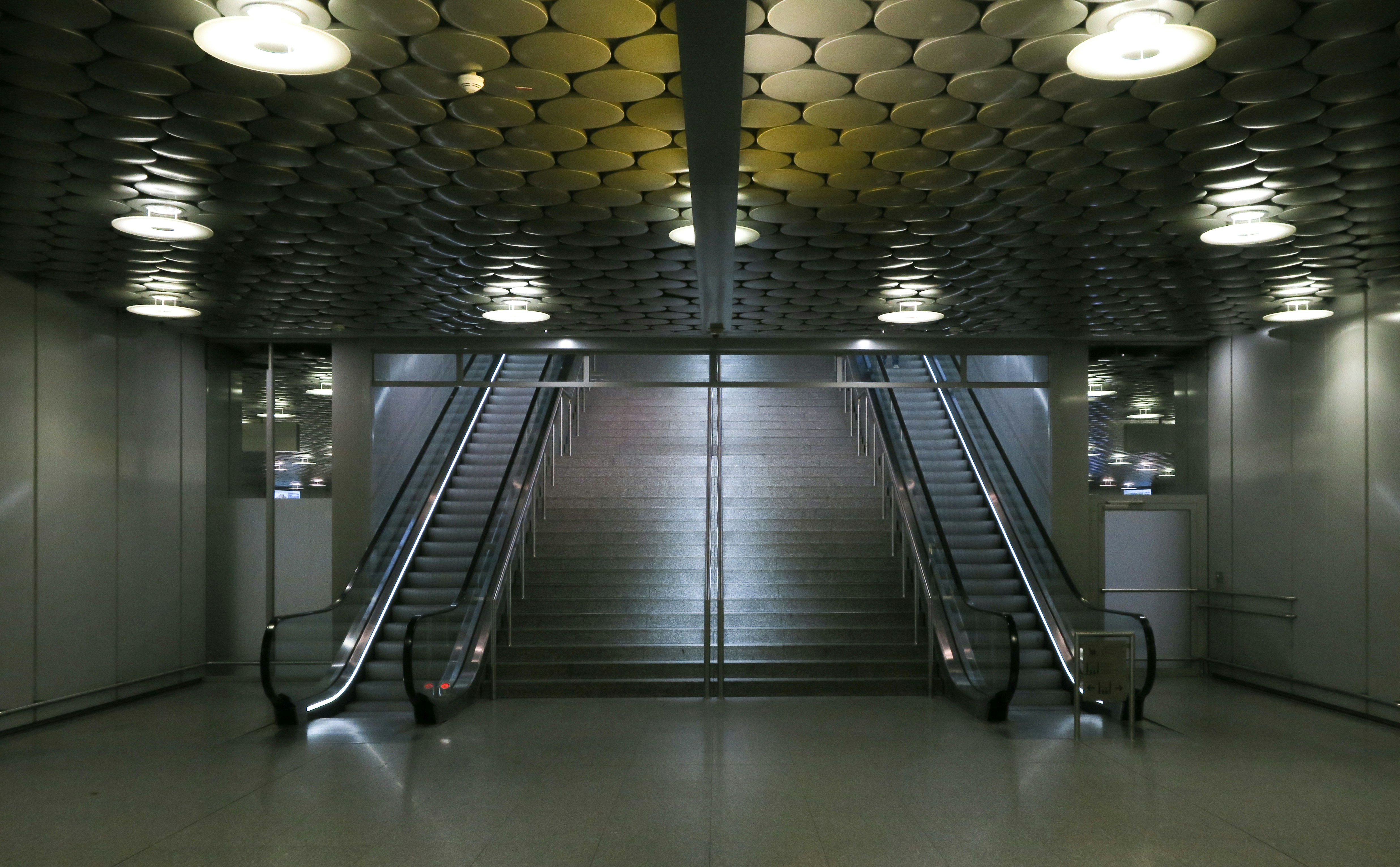 A modern escalator duo leads to a well-lit upper level, framed by a unique patterned ceiling in an urban setting.