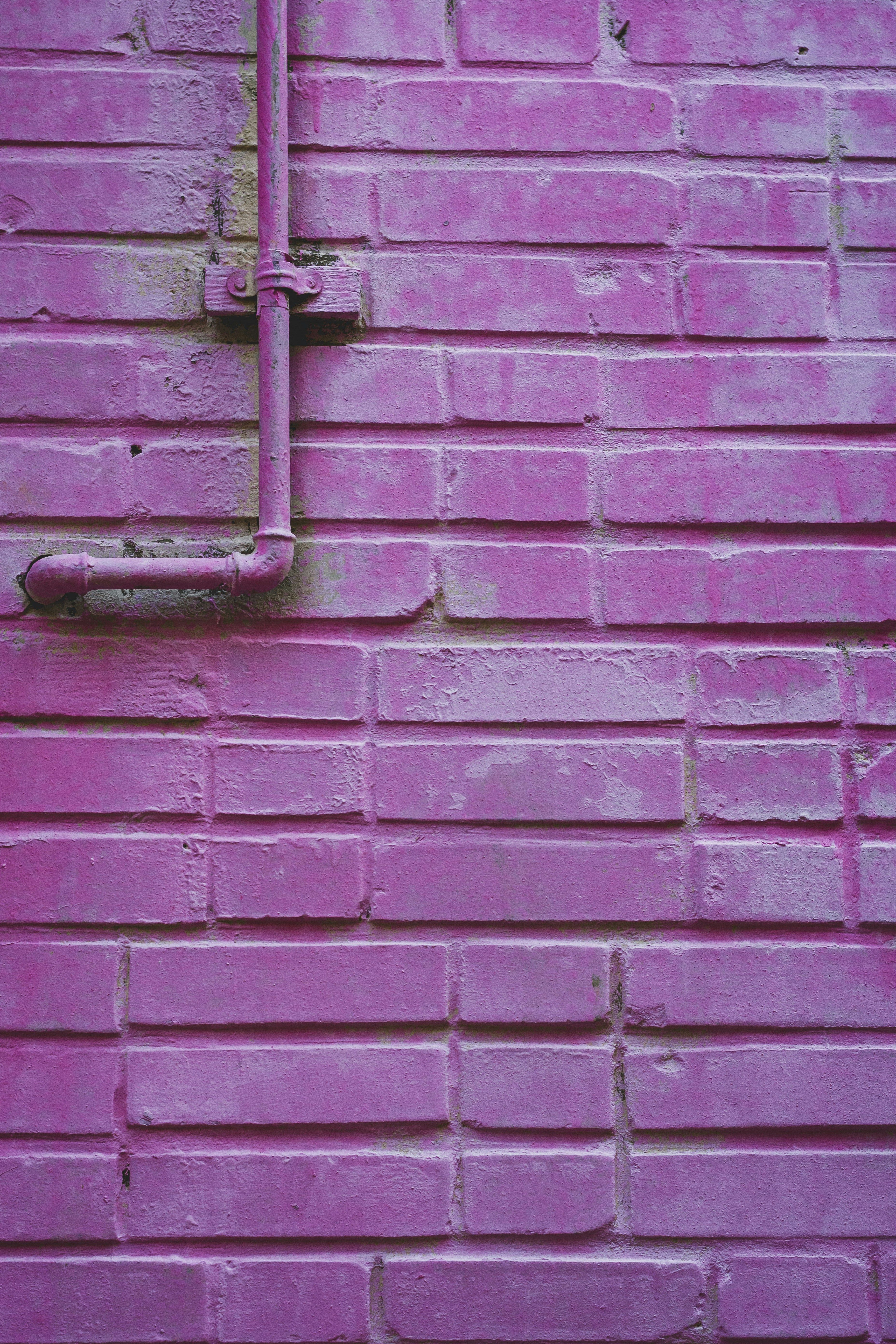 Vertical Pipe on a Violet Brick Wall: Geometry in Pink