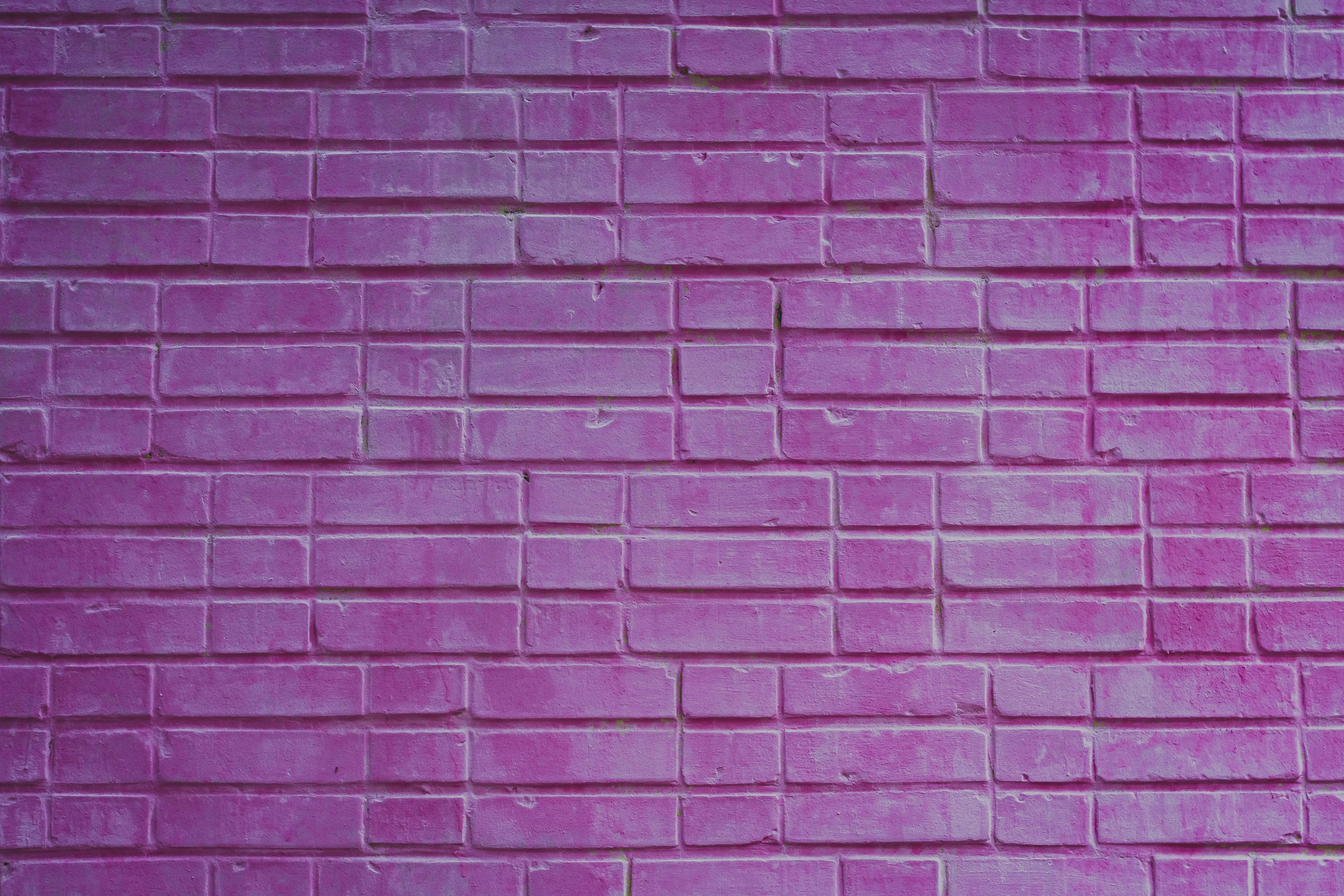 A pink brick wall with a red stop sign on it photo – Free Wall Image on ...