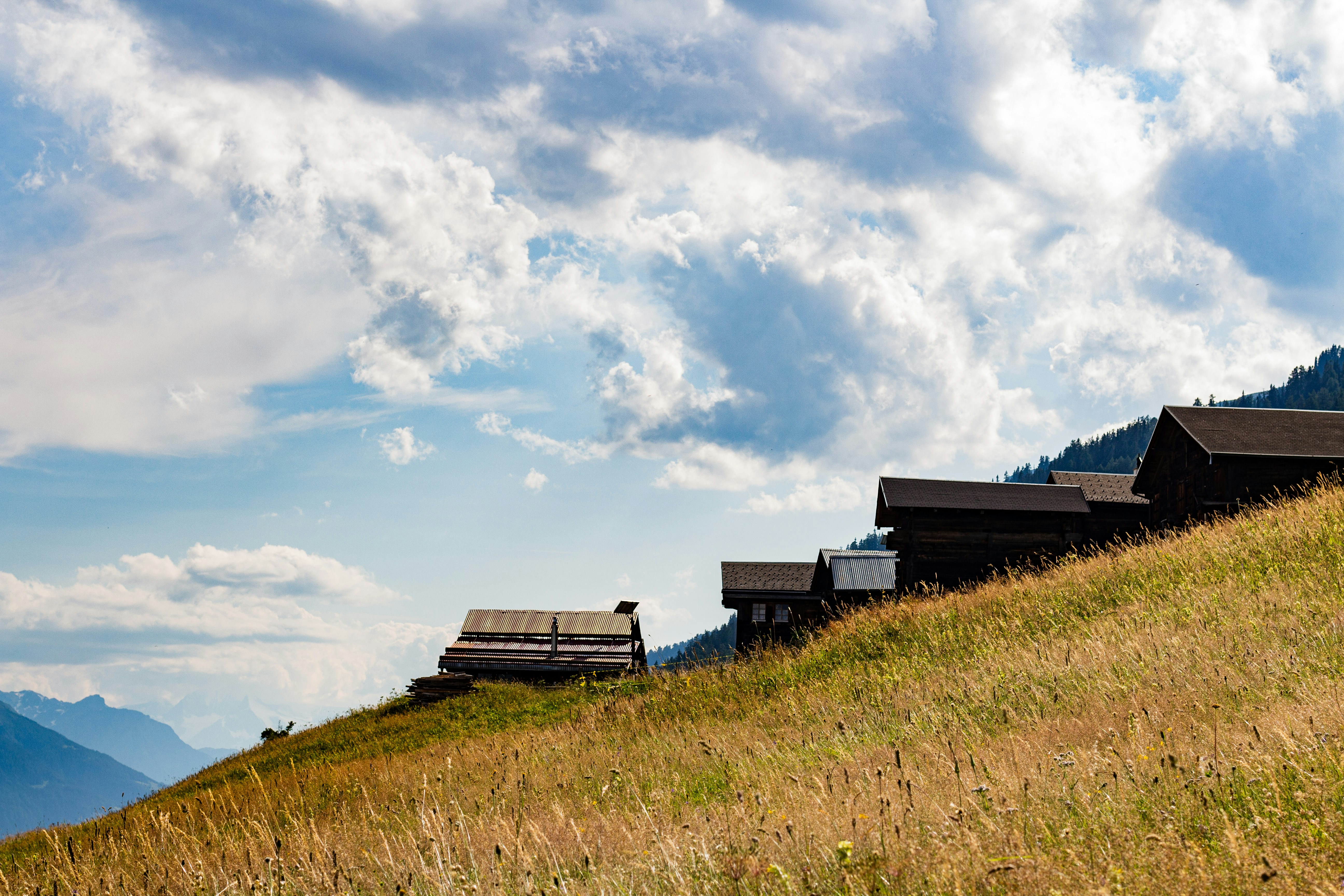 Slope of Silence: Wooden Chalets Nestle the Mountain