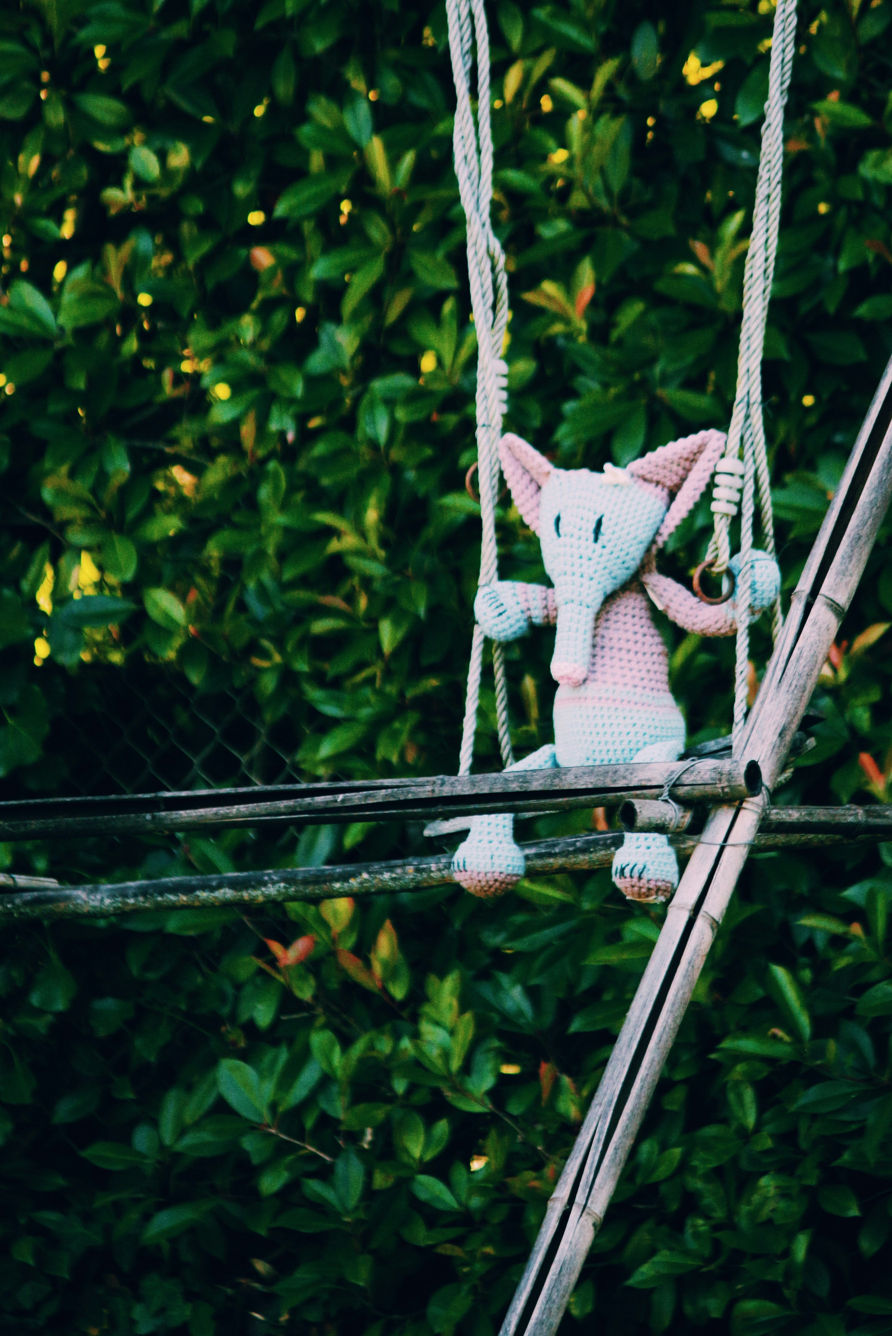 Pocket Dragon on a Rope Swing Amid Emerald Hedge