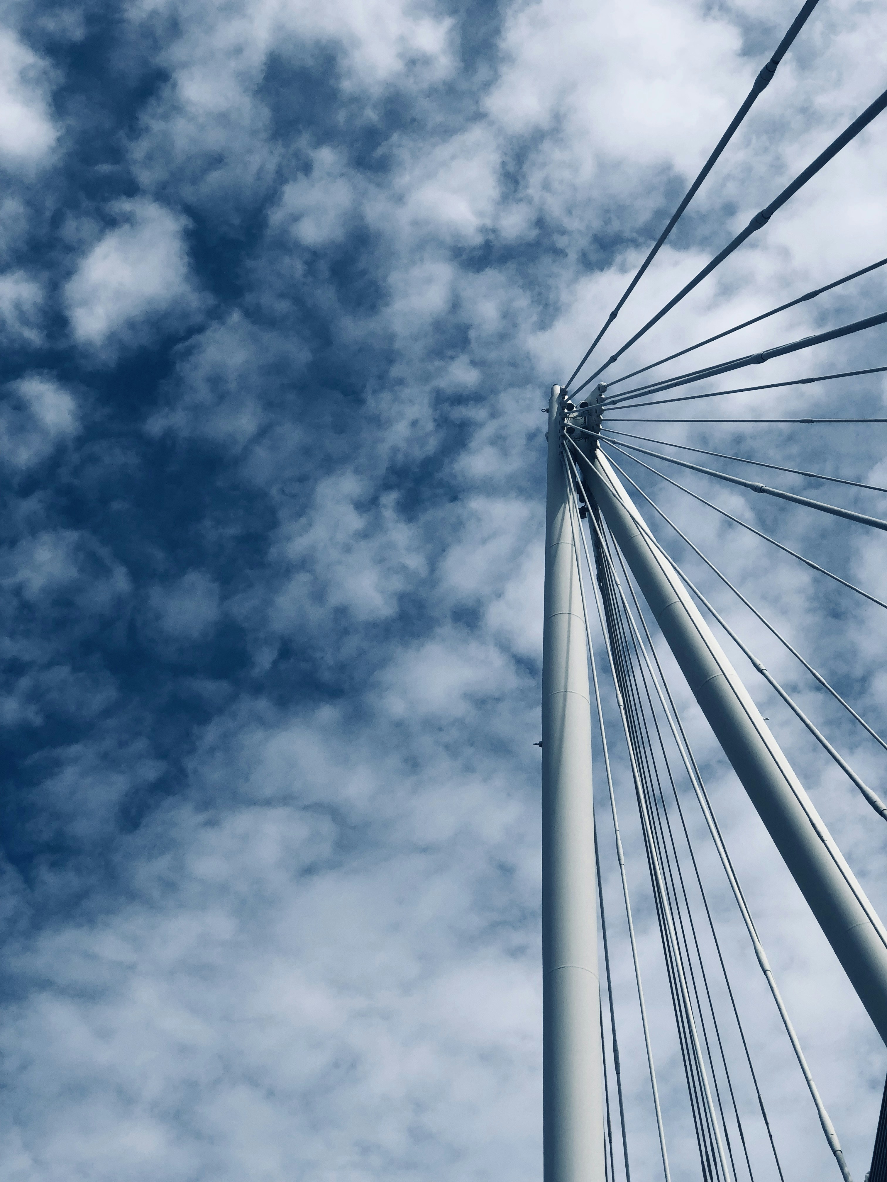 White bridge cables photo – Free 2 victoria embankment Image on Unsplash