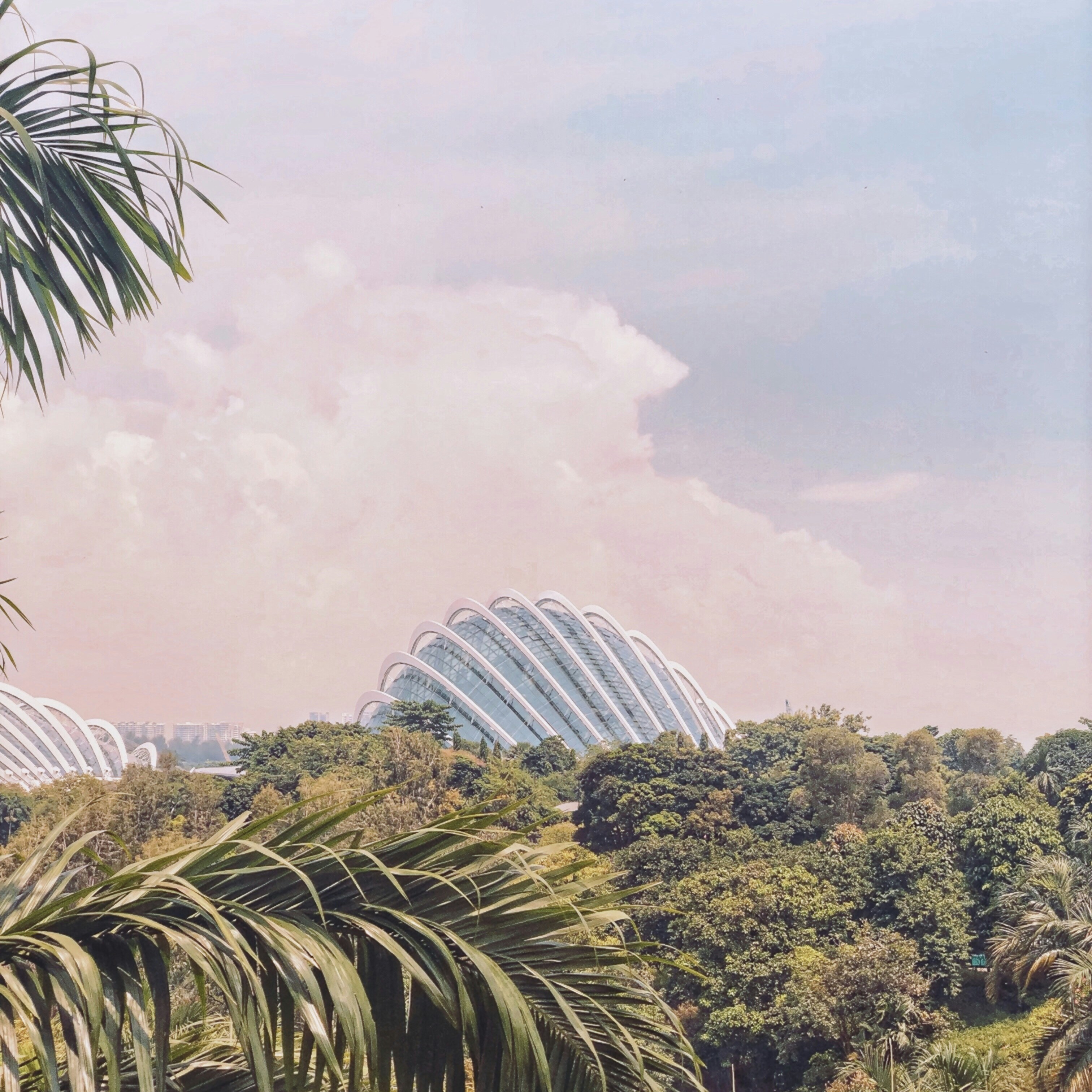 Greenhouse at the Gardens by the Bay. (insta: __sham.bam)