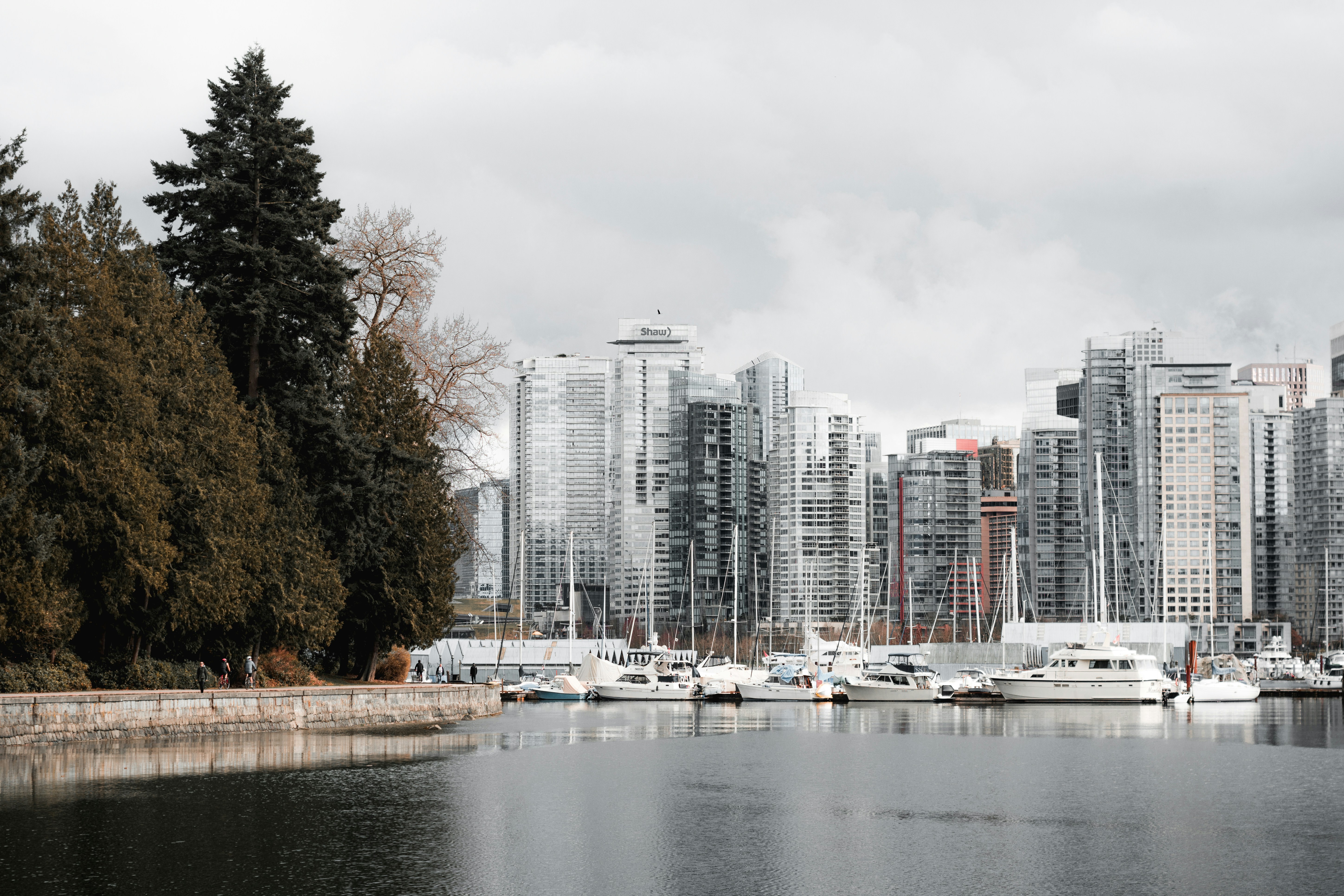 City skyline with modern high-rises behind a marina, bordered by lush trees and calm waters.