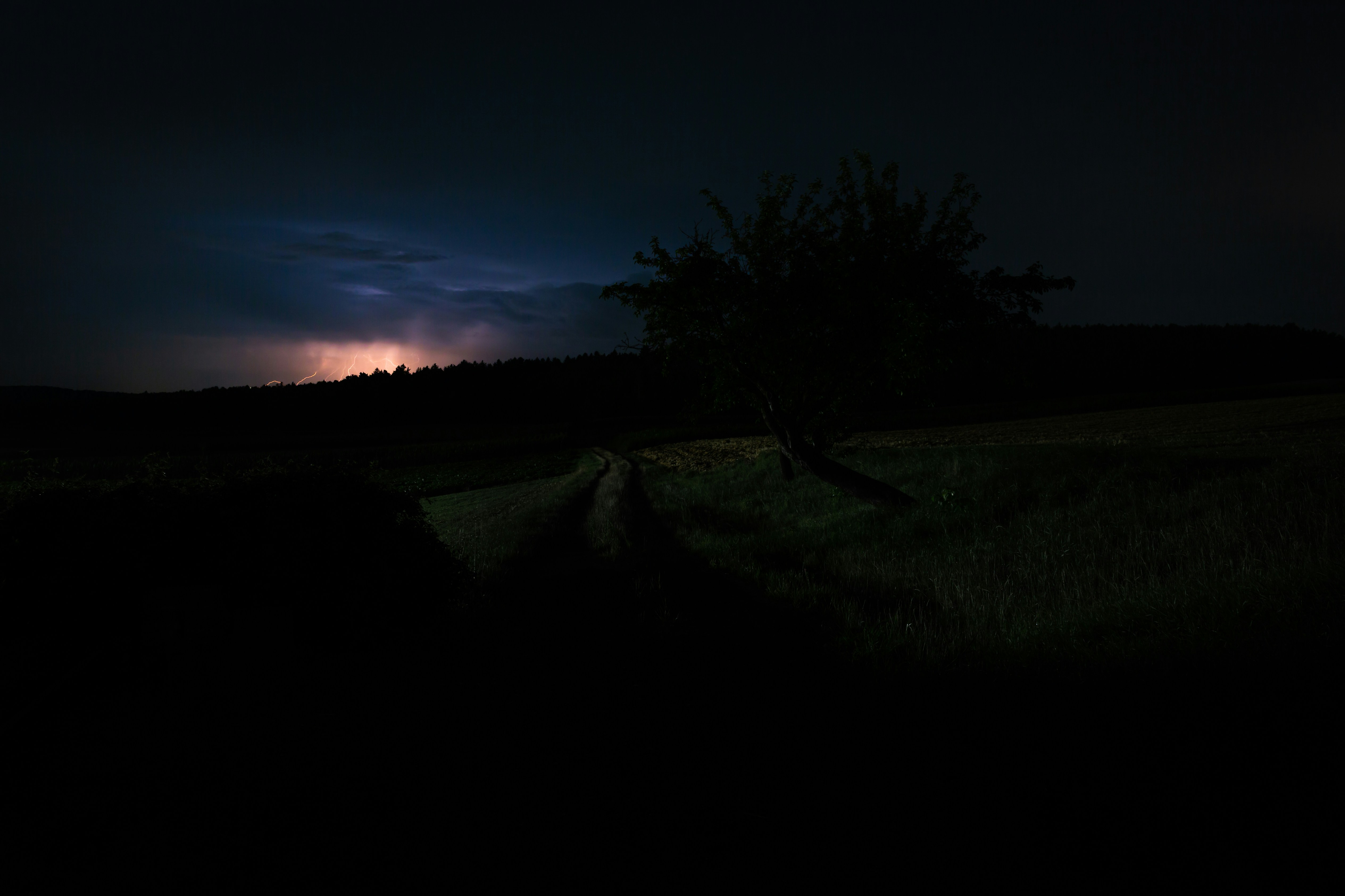 A lone tree in a field at night photo – Free Grey Image on Unsplash