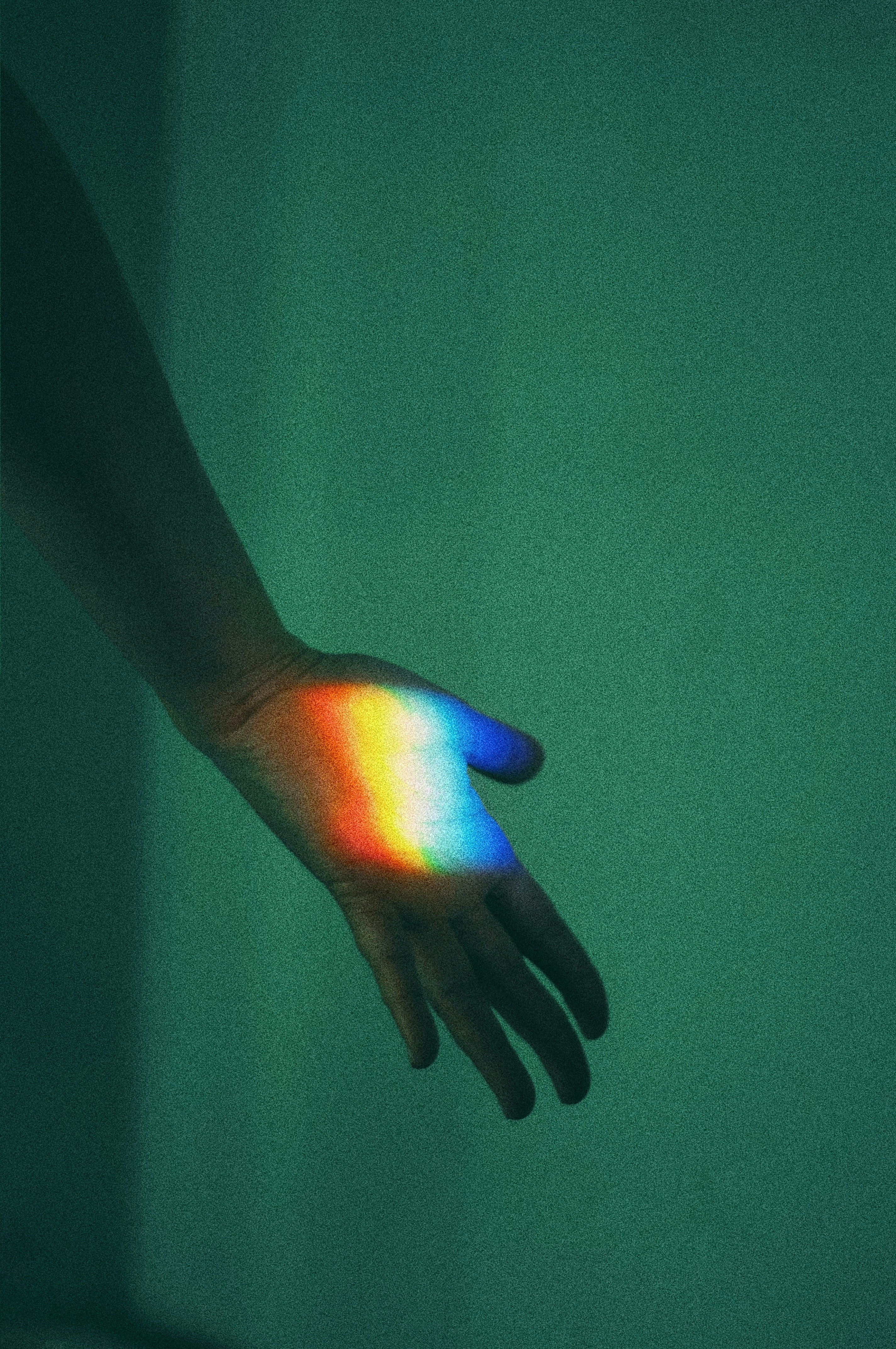 Person's left hand photo – Free Human Image on Unsplash