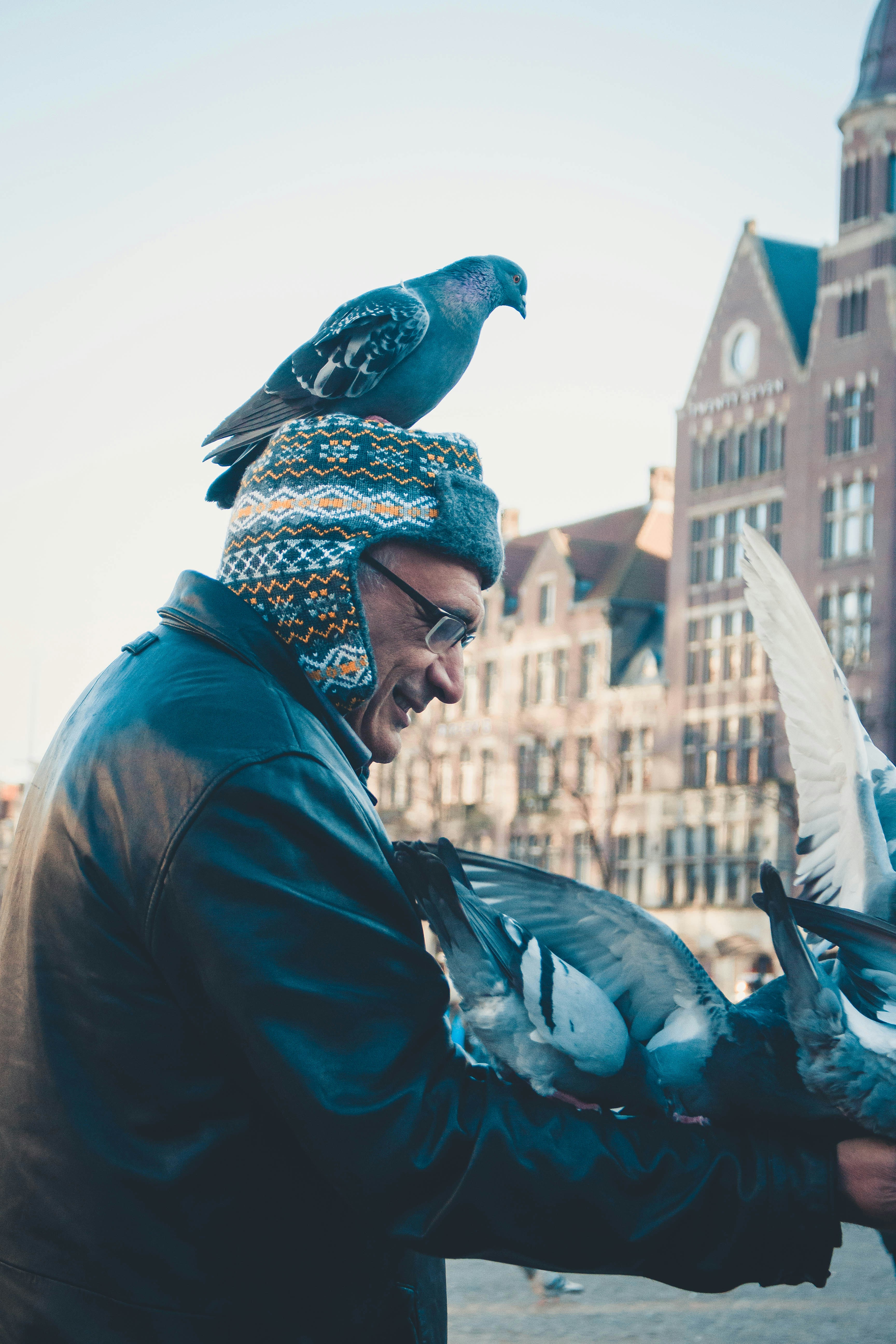 Feathered Exchange: Pigeon Perches on a Smile in a City Square