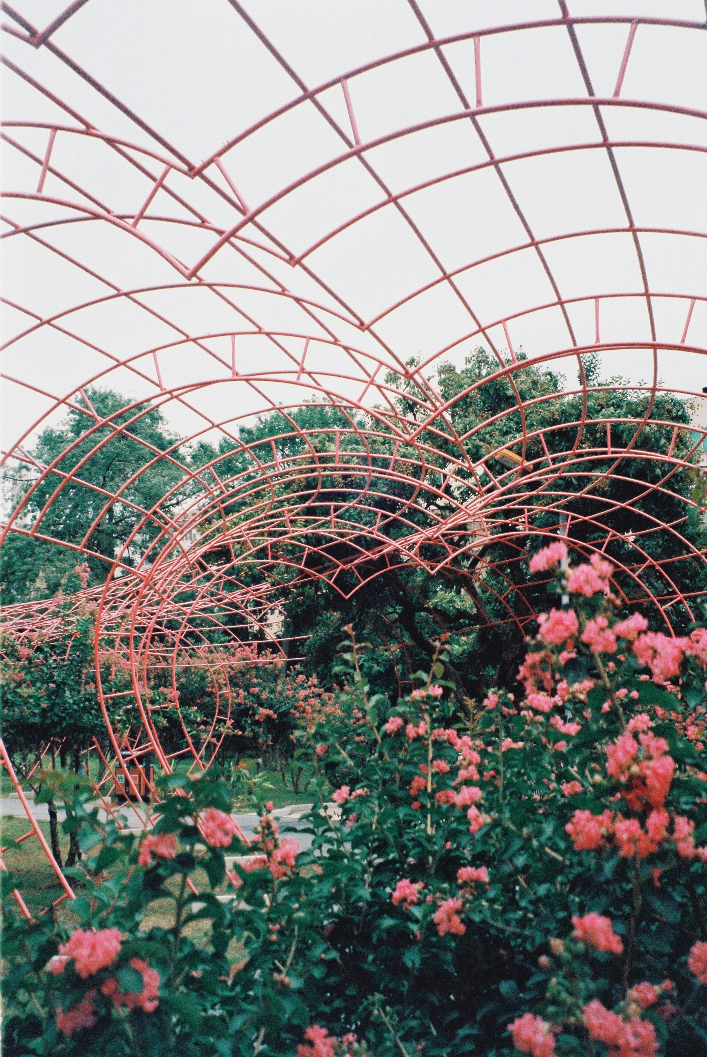 Intricate red lattice structure entwined with blooming flowers, creating a vibrant interplay of nature and design.