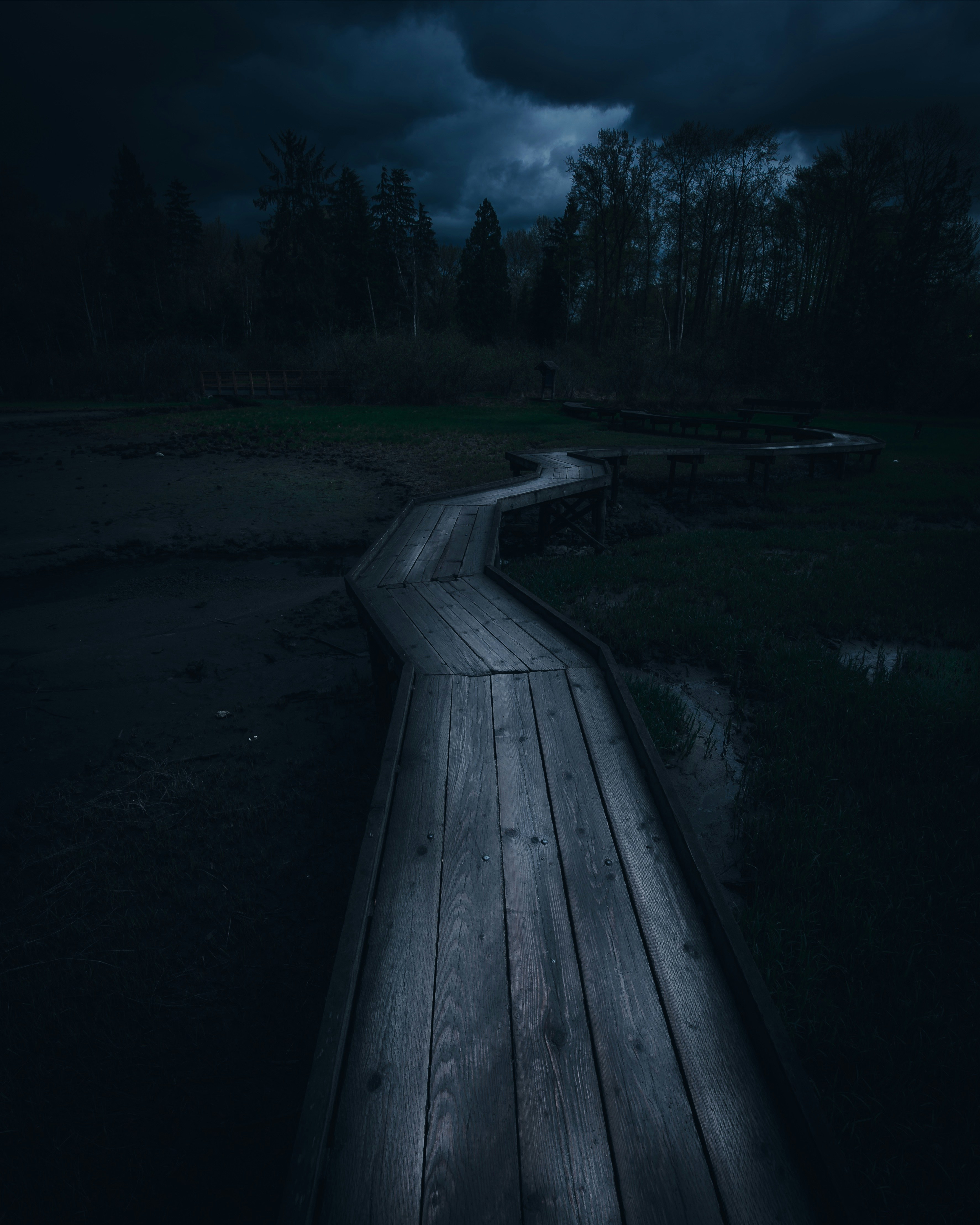Dark Path Pictures | Download Free Images on Unsplash