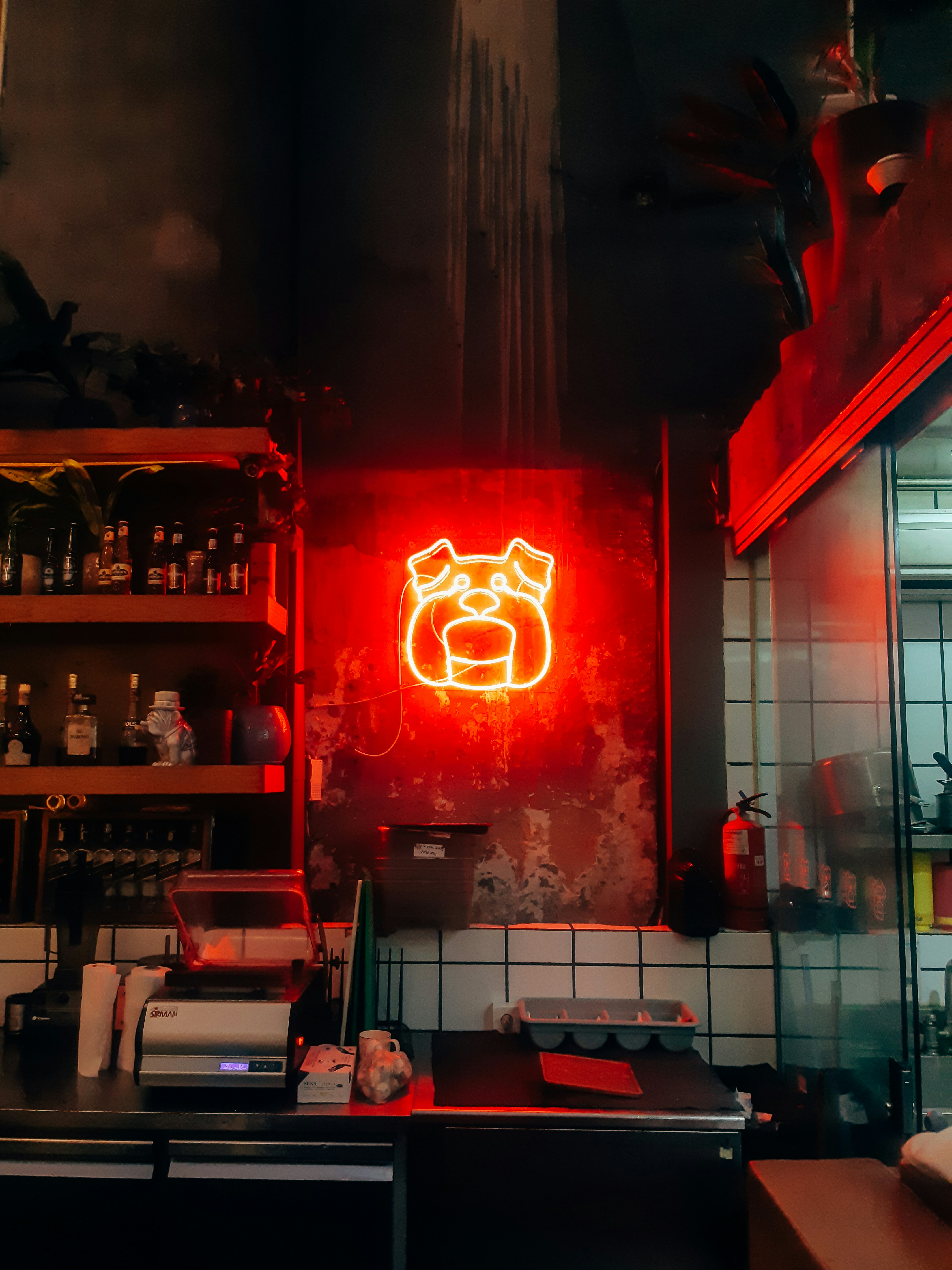 Red and yellow bulldog LED light inside bar at night time photo – Free ...