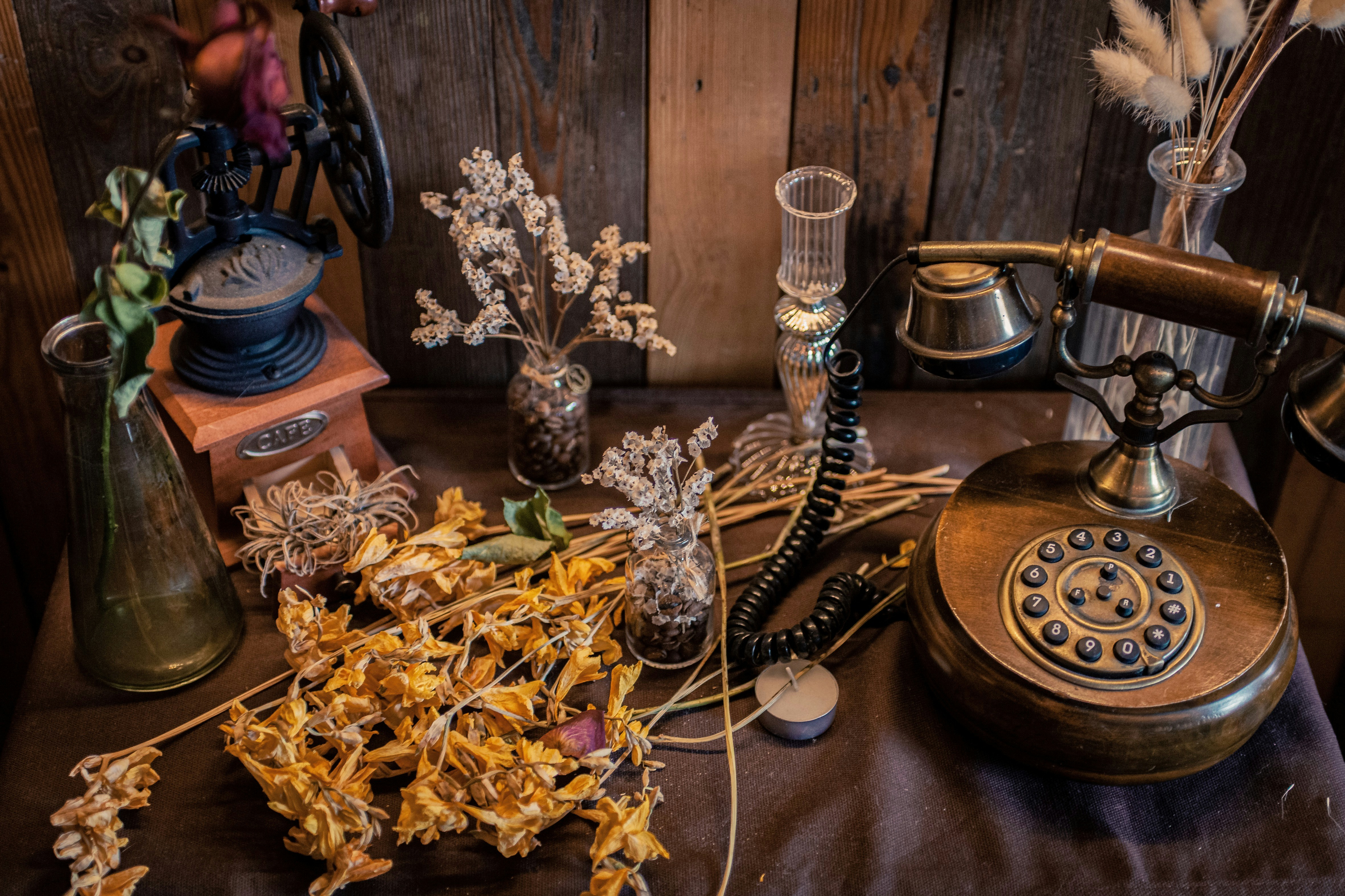 Voices from a Vintage Still Life: A Telephone and Dried Florals