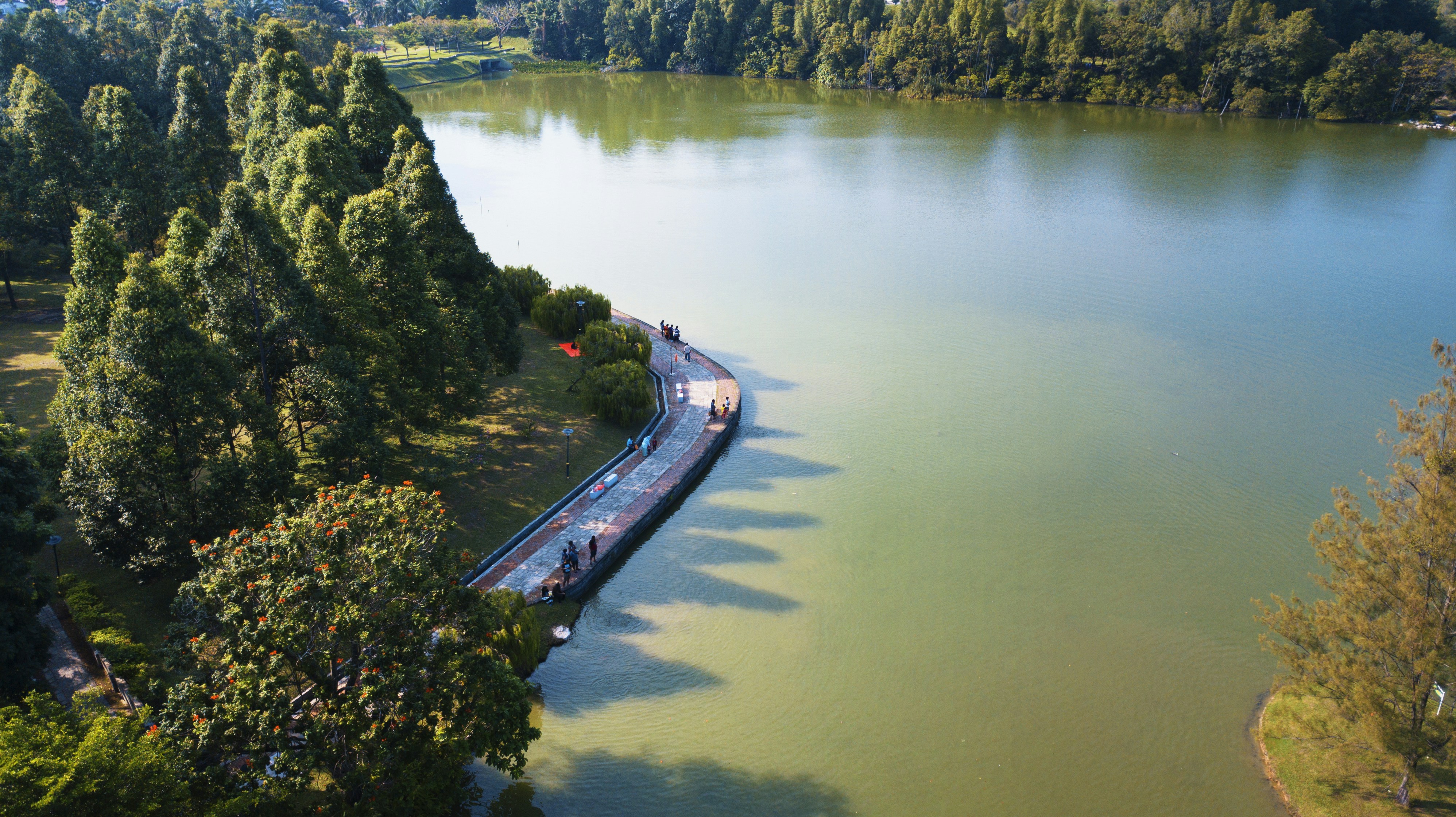 Serene lake bordered by lush trees and a winding pathway under clear skies.