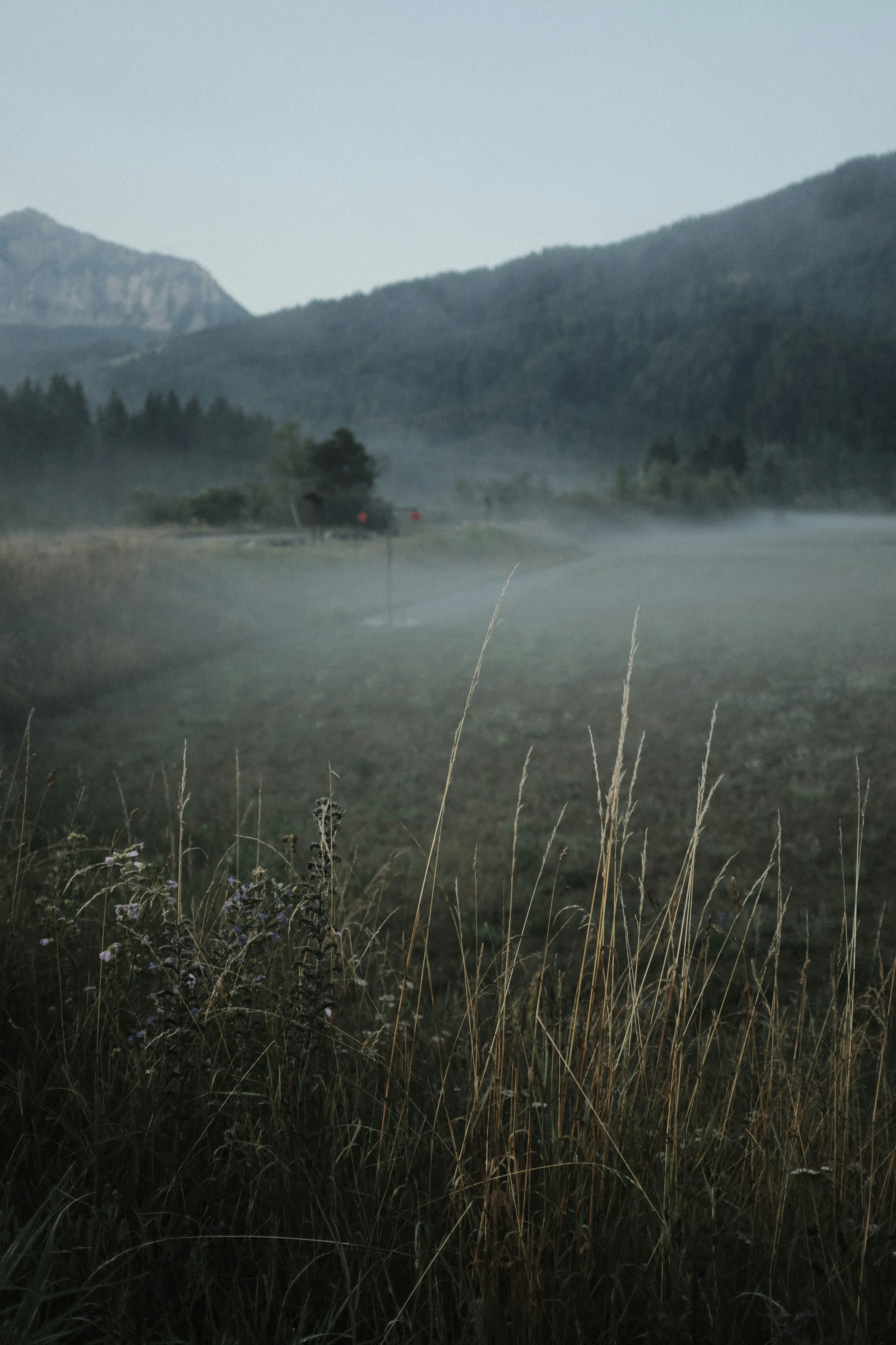 Dusk on the calm countryside