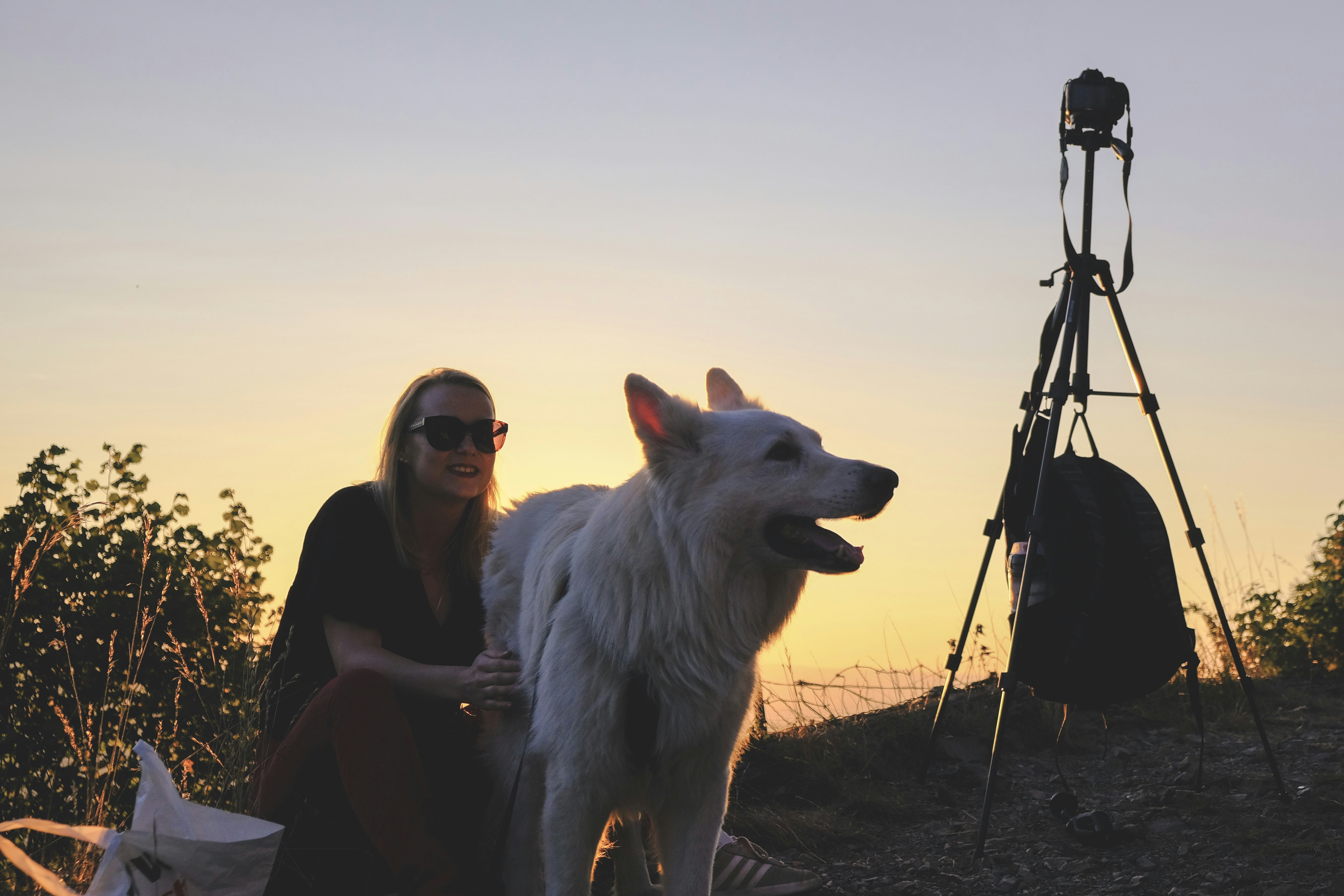 Dusk Pact: A Woman, a White Shepherd, and the Quiet Focus of Sunset Photography